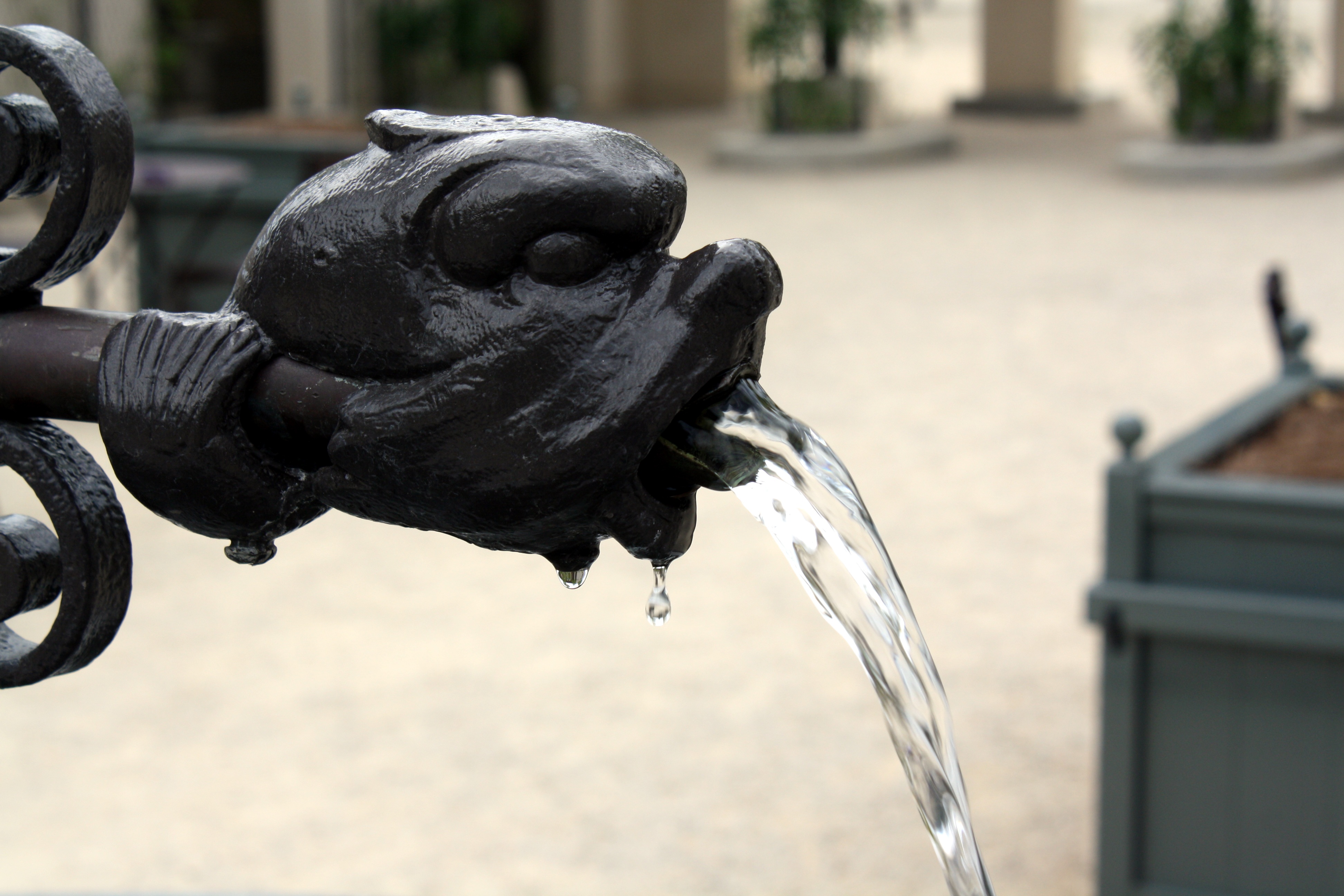 Water Statue Park free image download