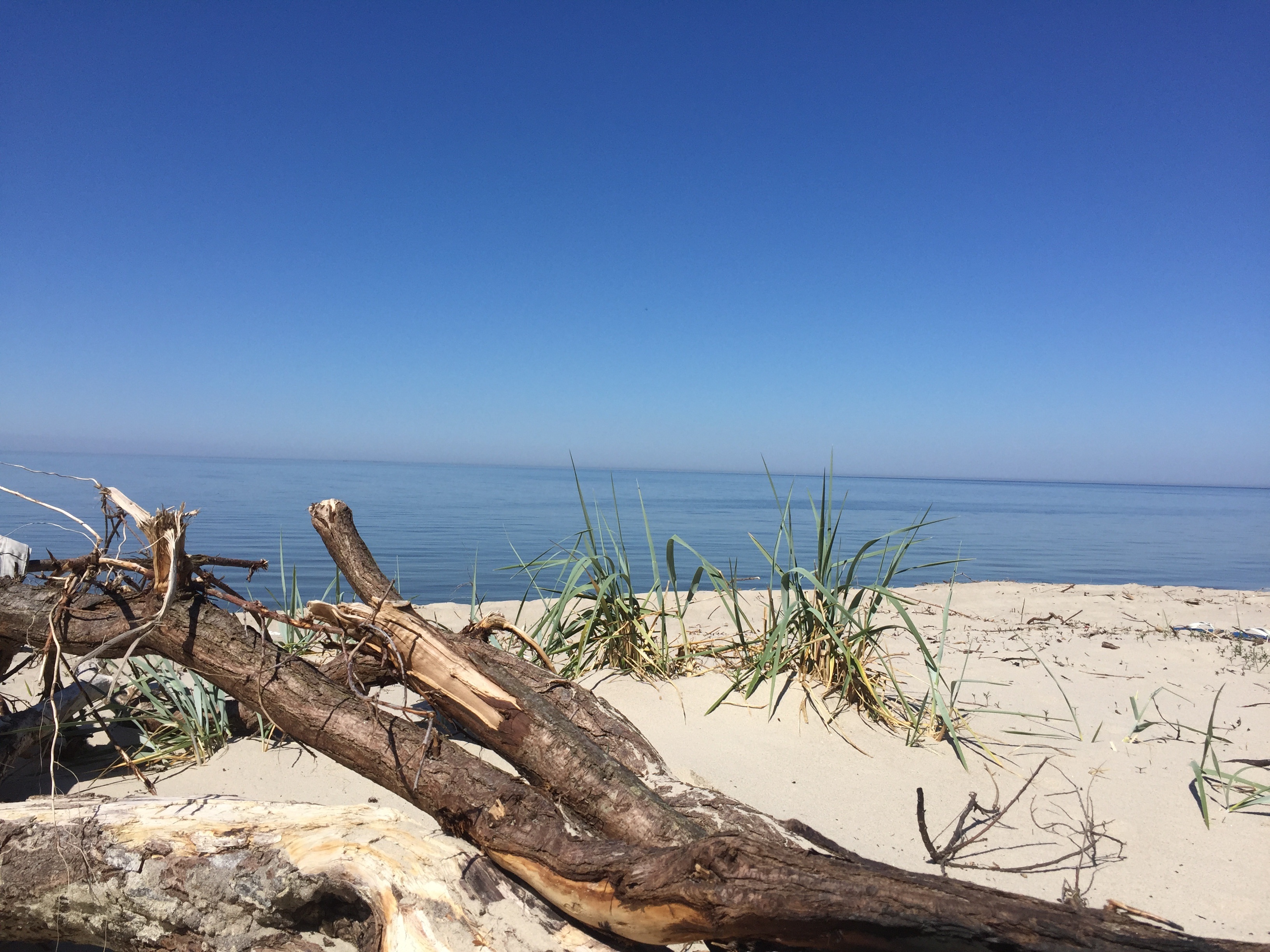 Nature Sand Horizon free image download