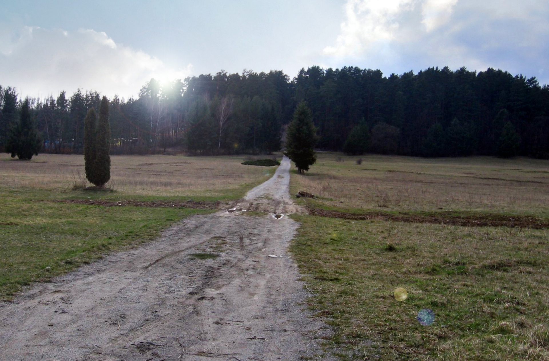 Path Field This Meadow free image download