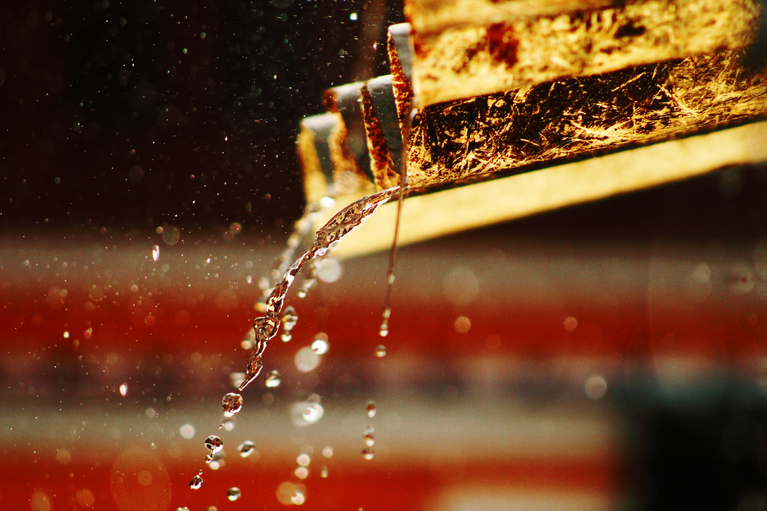 Rain Water Drop free image download