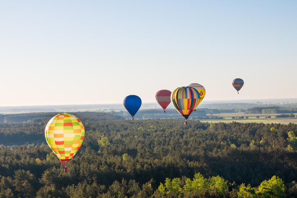 Balloons Flying Colorful free image download