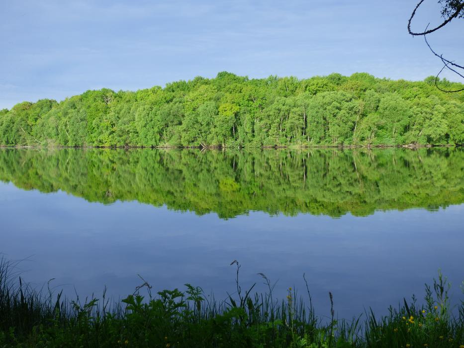 Reflection Pond Water free image download