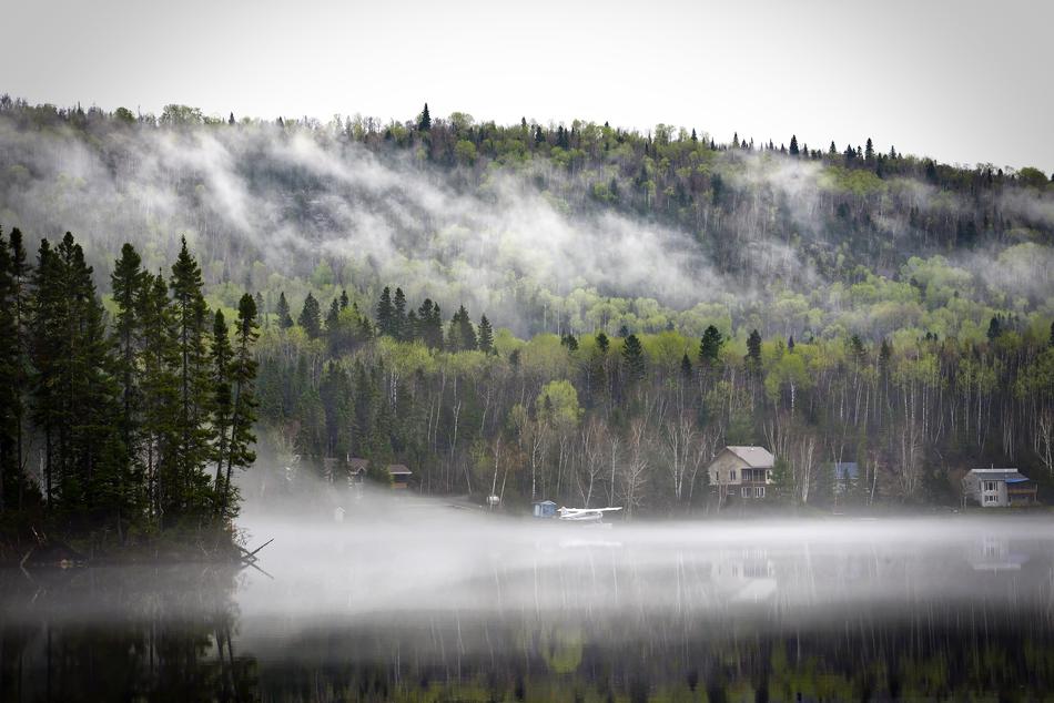 Landscape Morning Mist Nature free image download