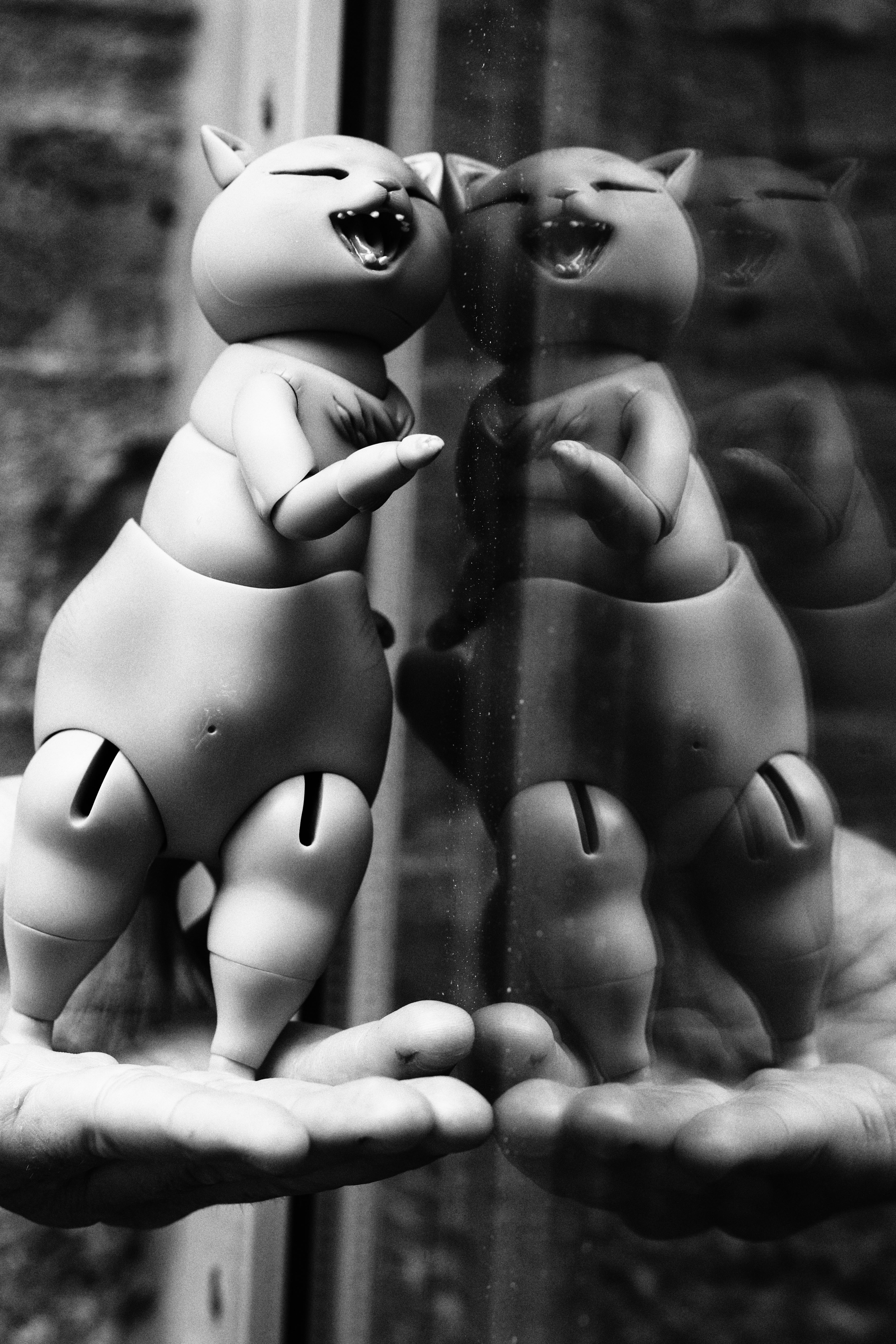 Toy Reflection Fun free image download