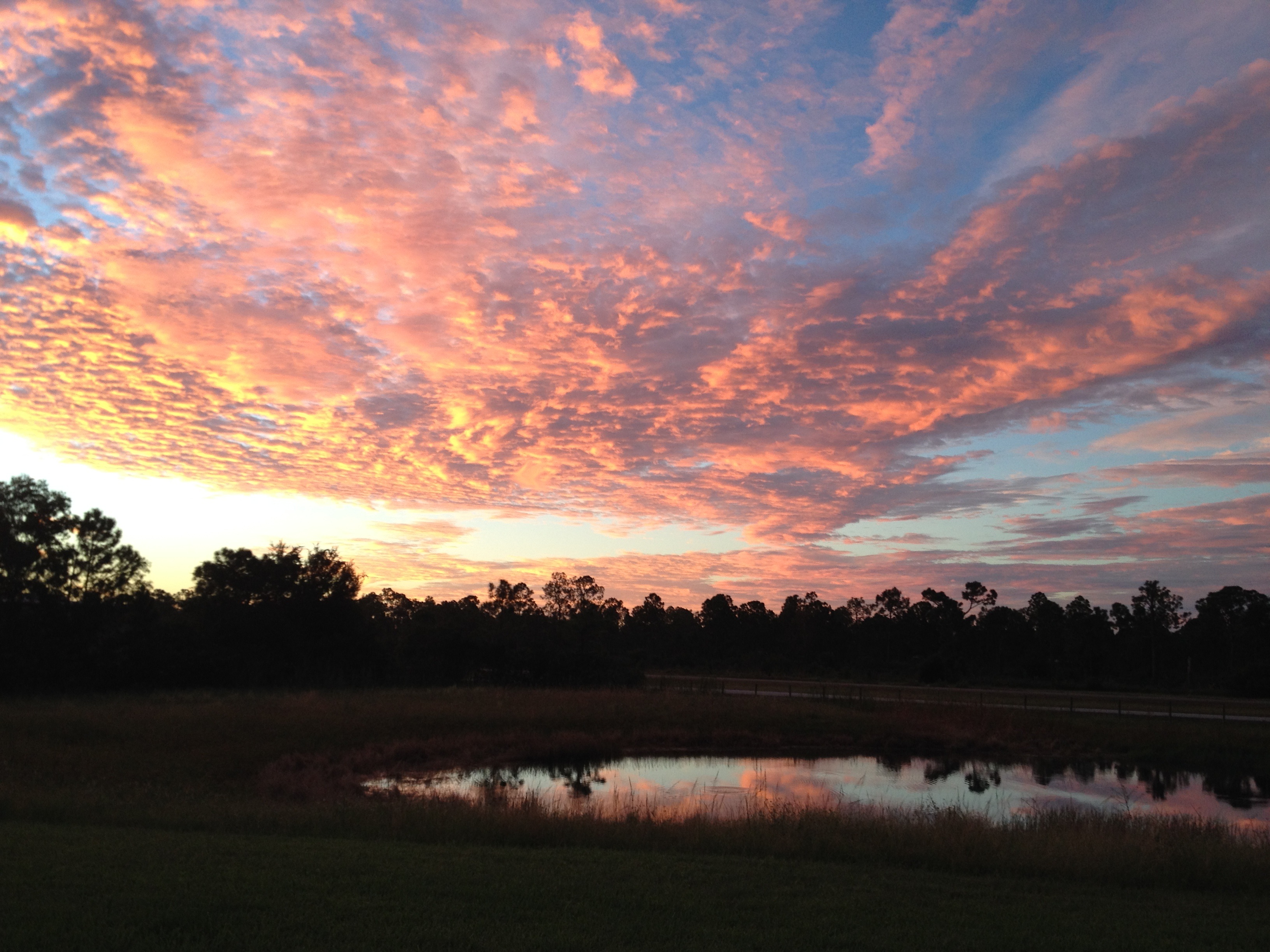 Sunset Florida Sky free image download