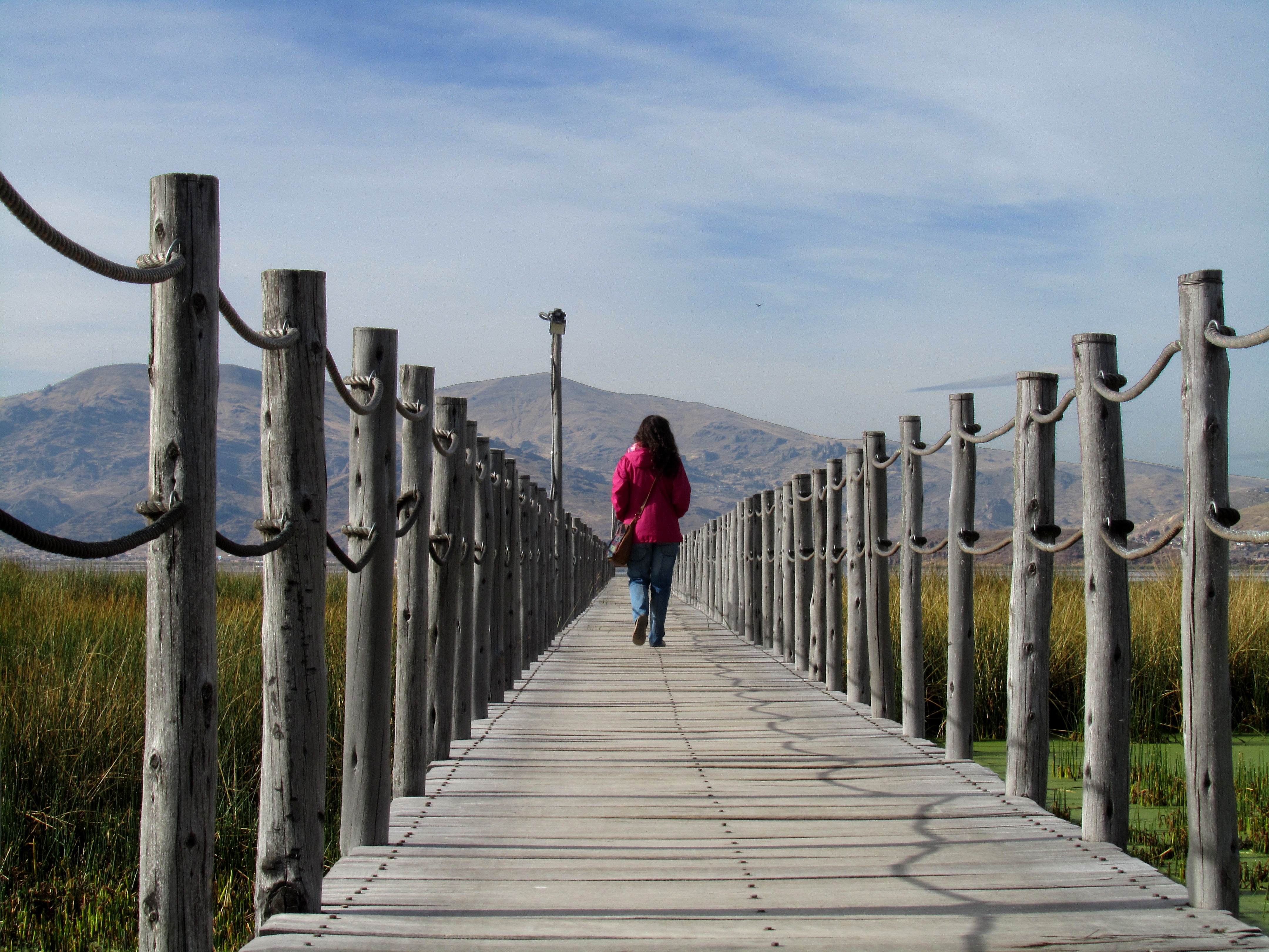 Gateway Path Nature free image download