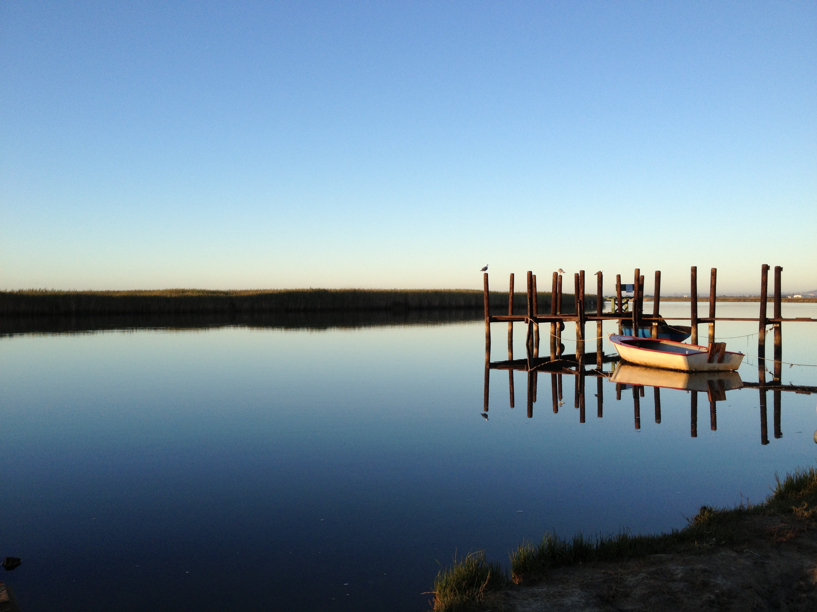 Southafrica Water Scenic free image download