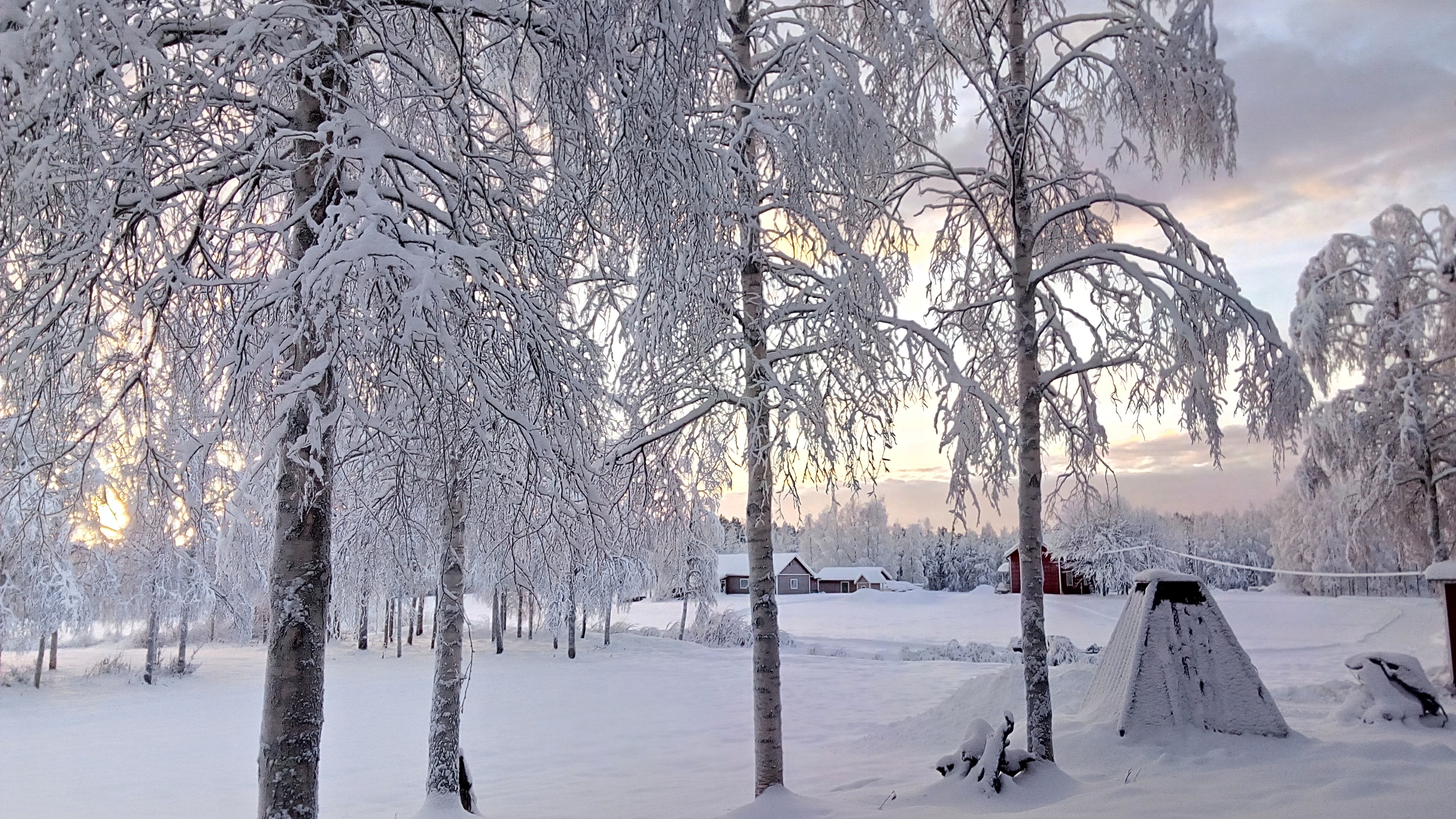 Wintry Christmas Snow free image download