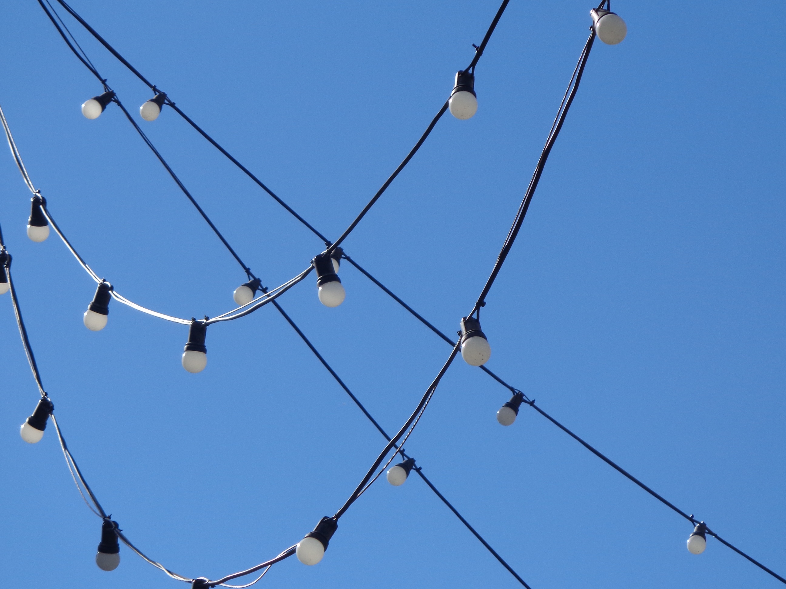 Light Bulbs Lighting Bulb free image download