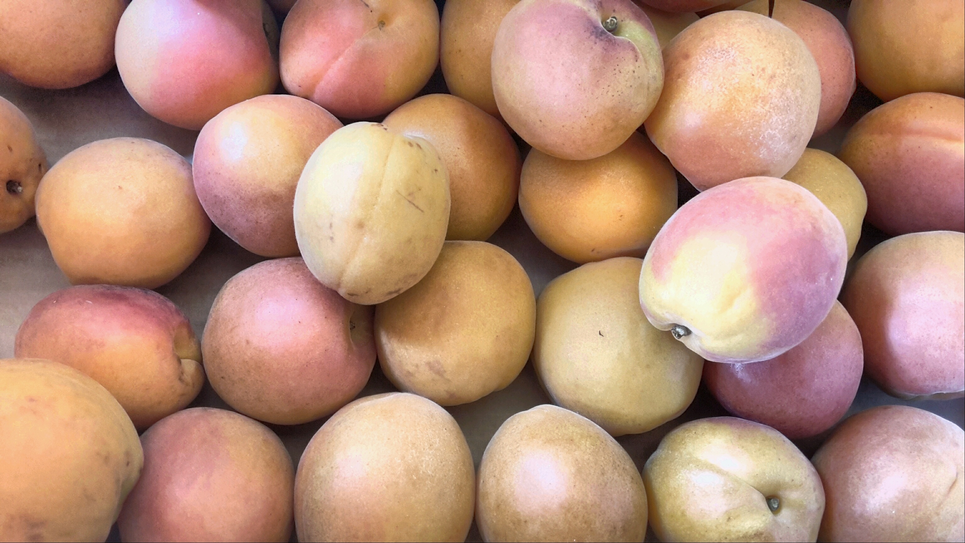 Bunch of orange peaches free image download
