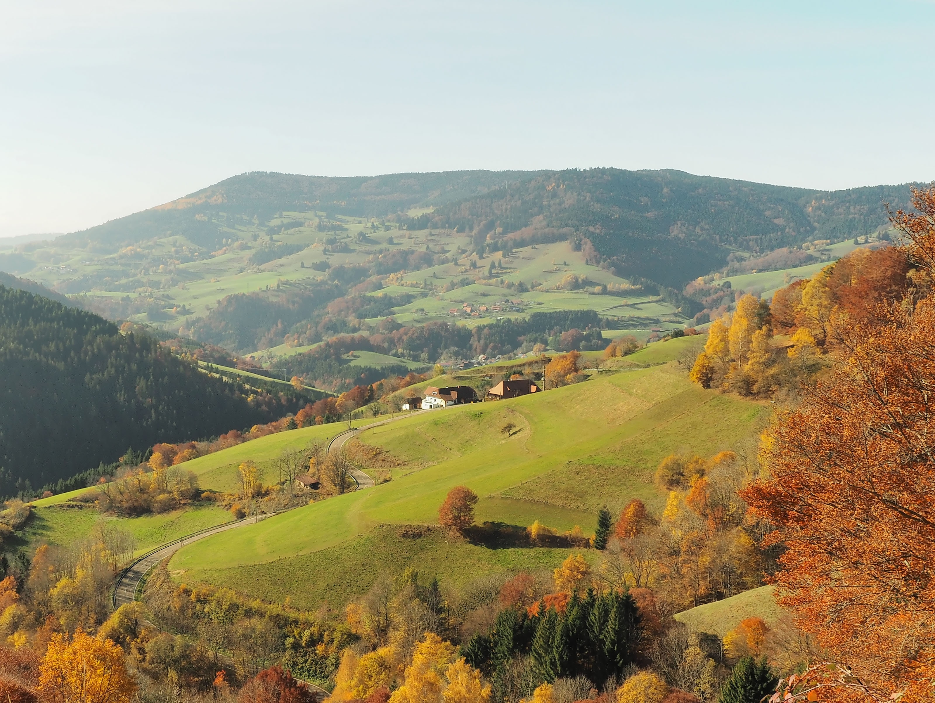 Landscape of Fall Nature free image download