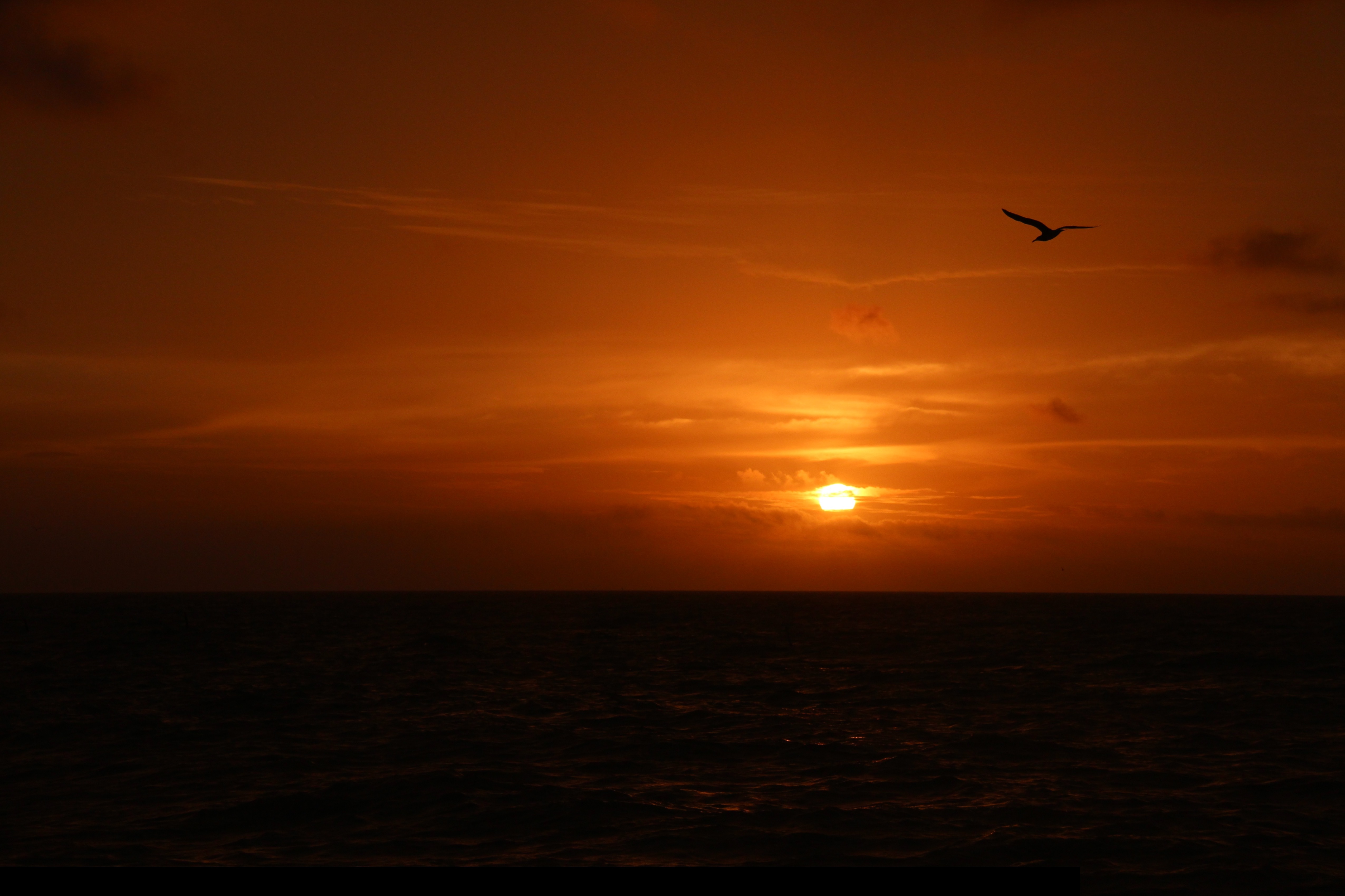 Sunset Twilight Sun free image download