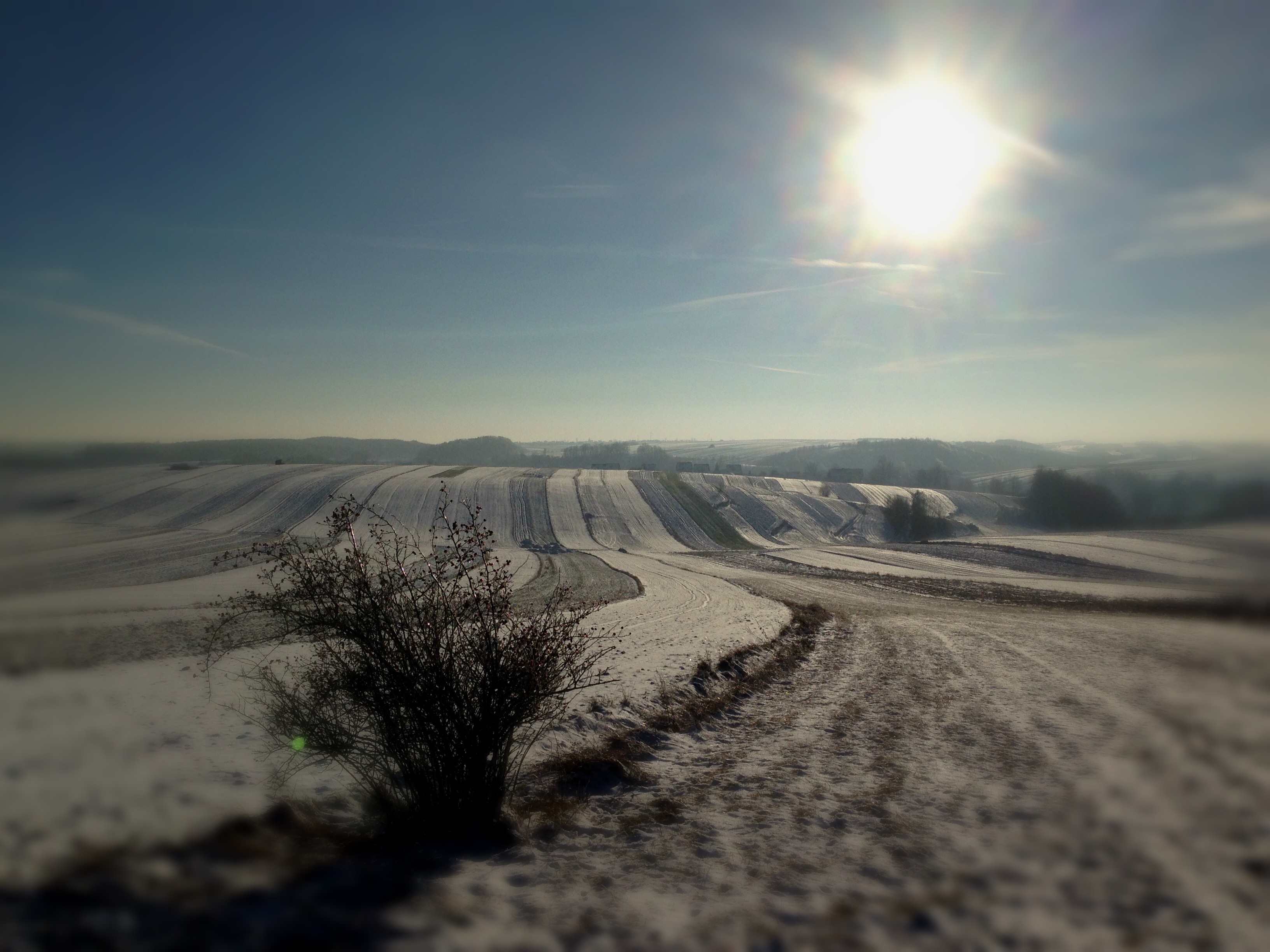 Winter Fields Landscape free image download