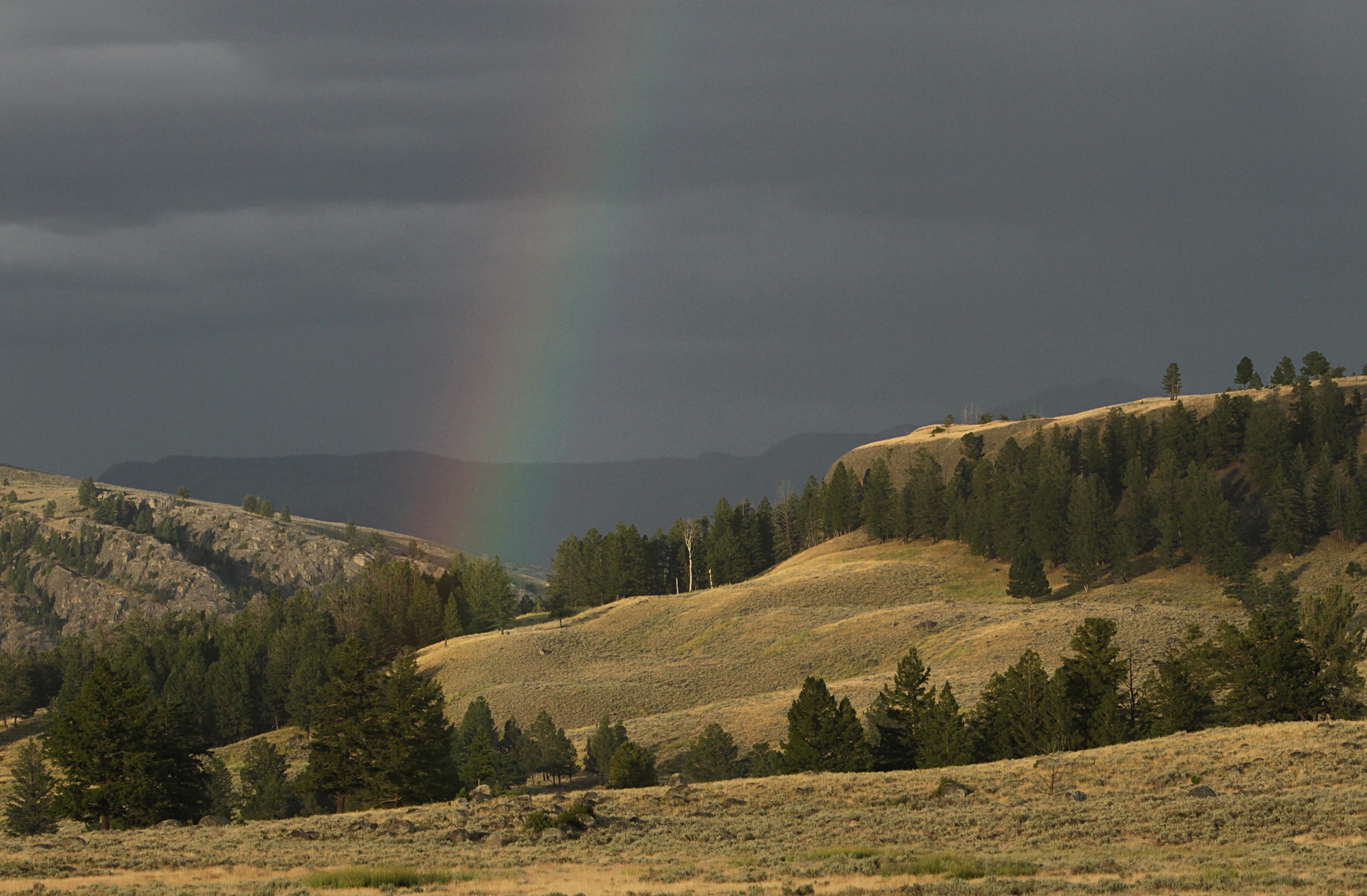 Rainbow Landscape Weather free image download