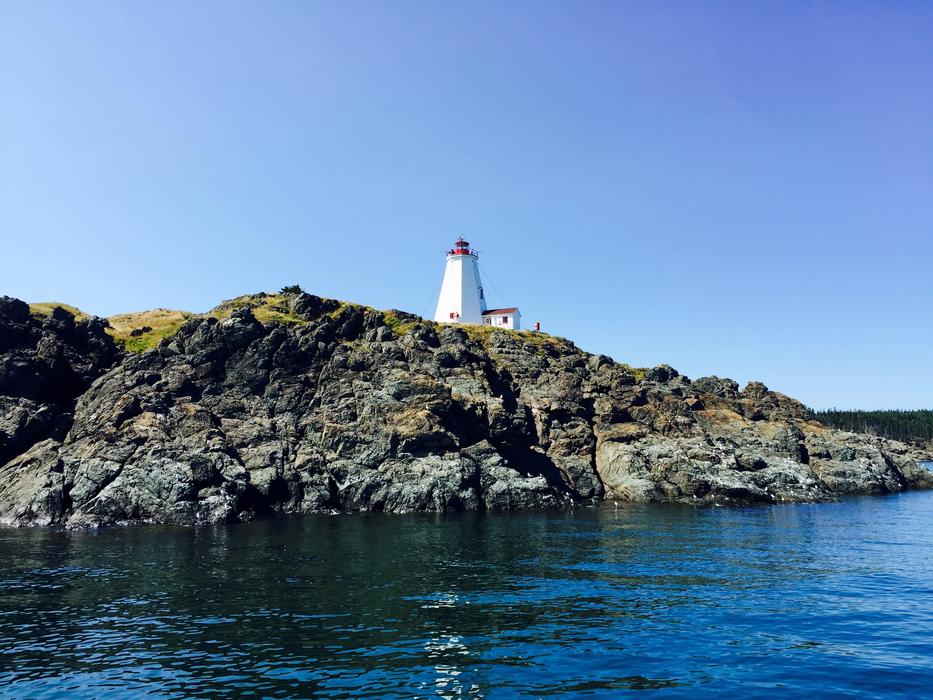 Swallowtail Grand Manan Ocean free image download