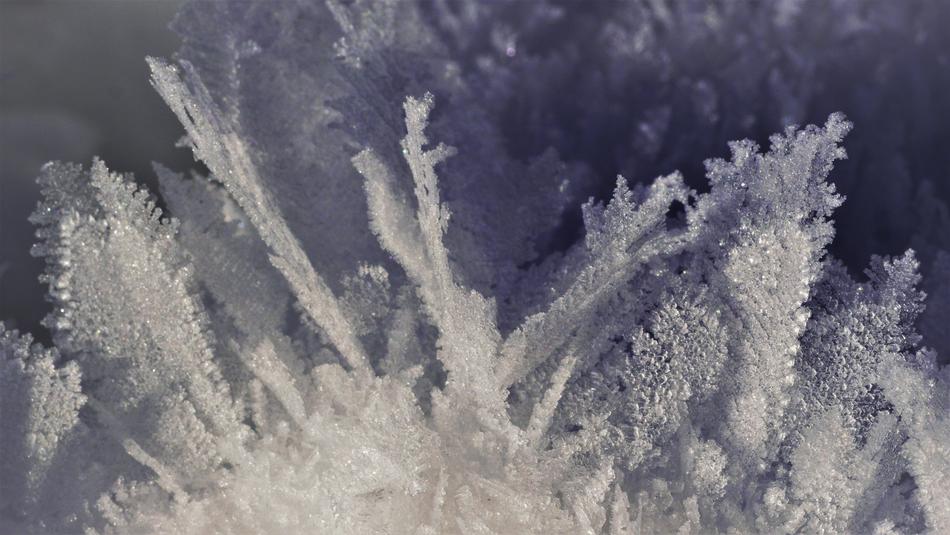 White snowflake cold free image download
