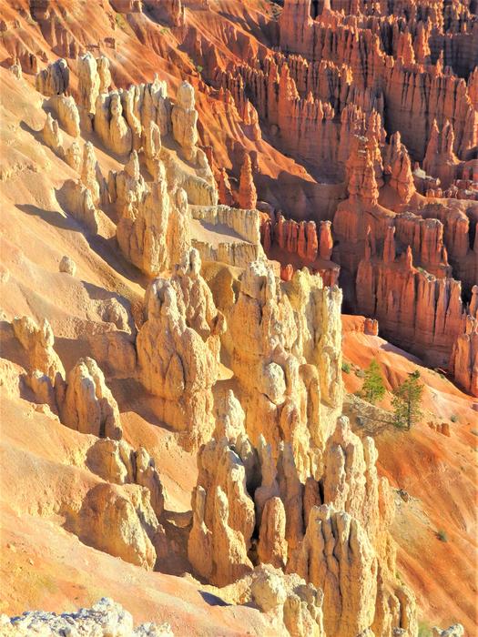 Bryce Canyon Utah Hiking Red free image download