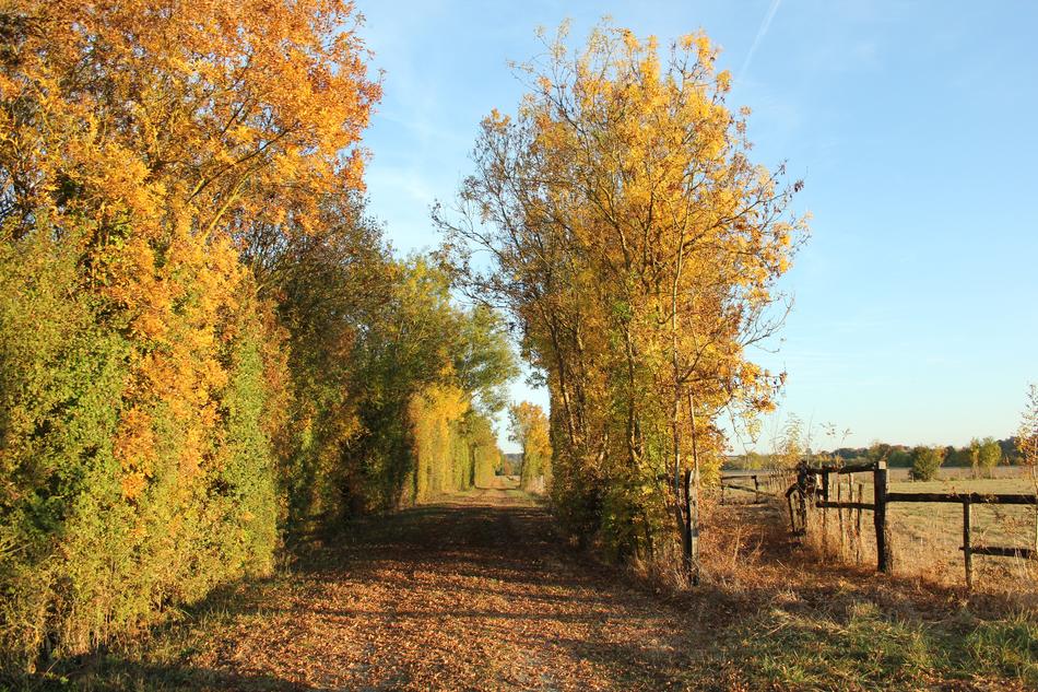 Autumn France Countryside free image download