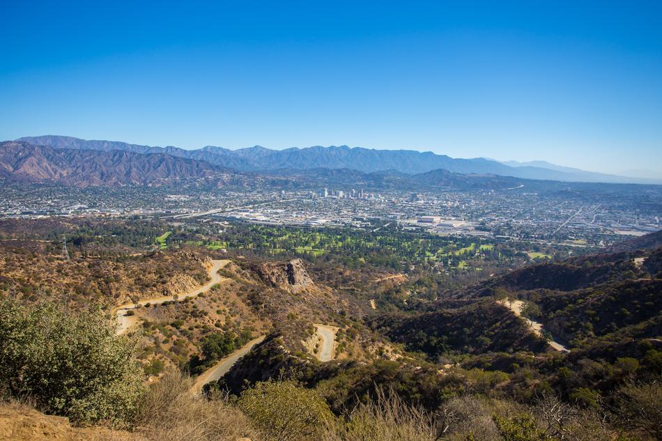 Griffith Park Mountain Holly free image download