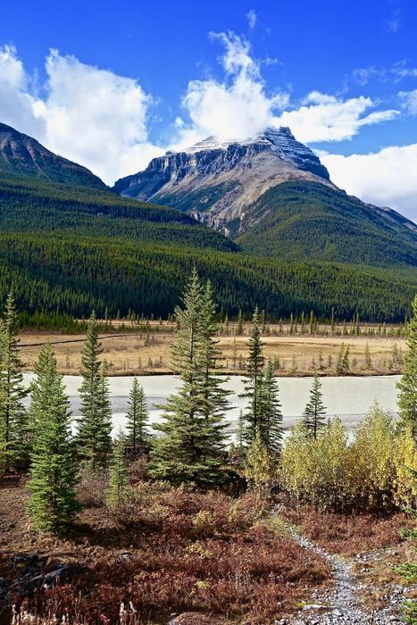 Landscape Wild Wilderness free image download