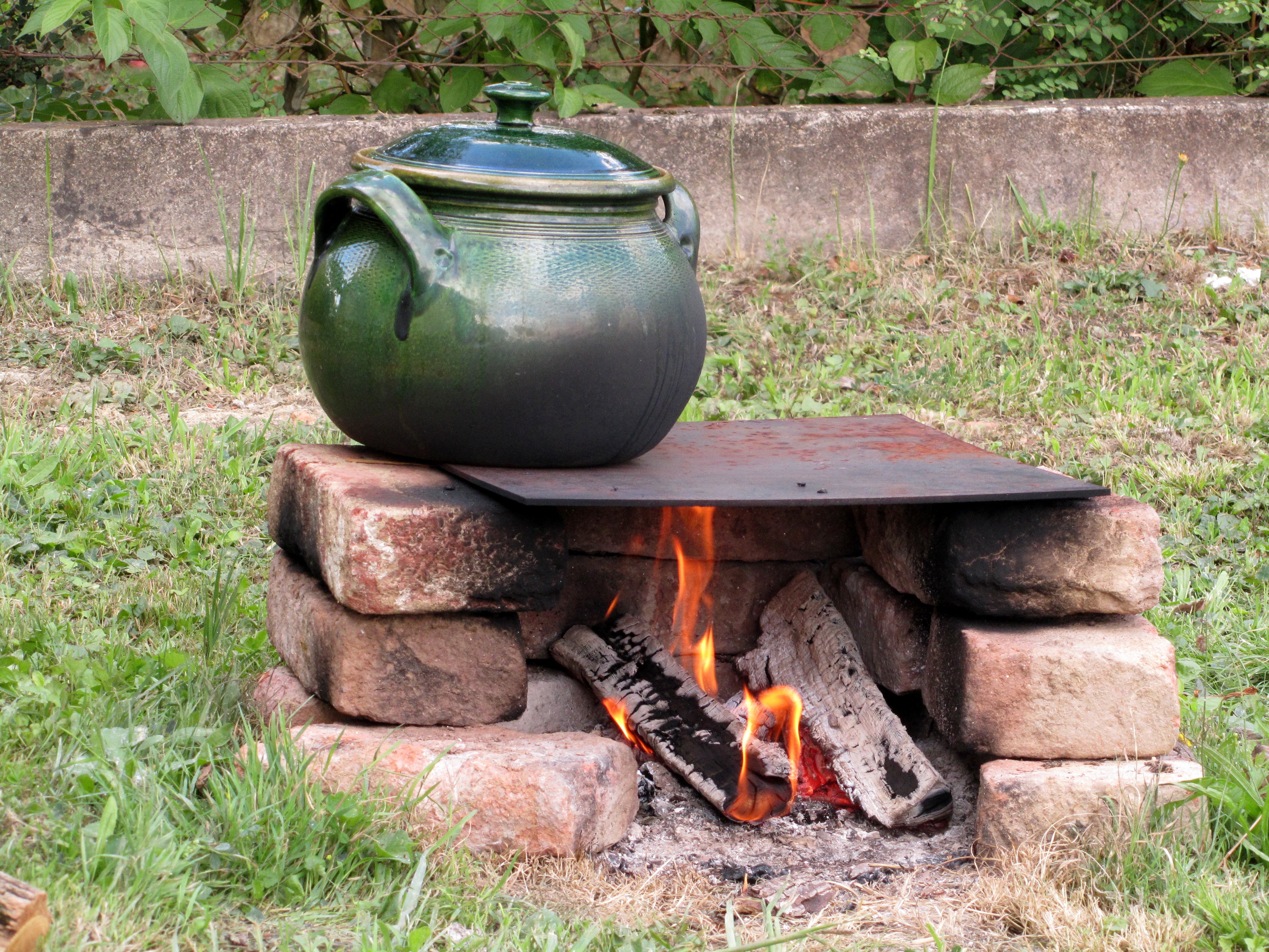 Green pitcher on the fire free image download