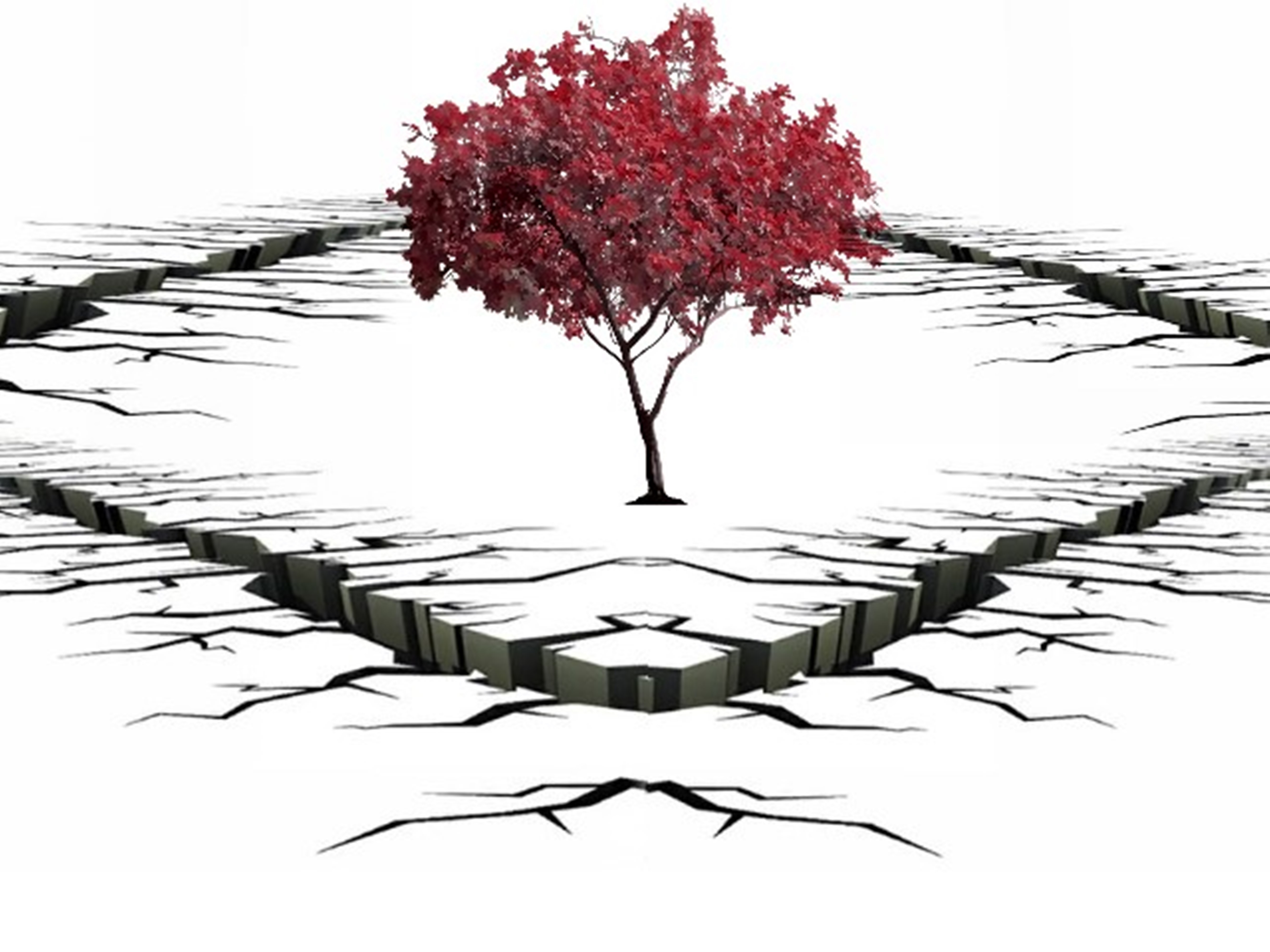 Crevasse solitary tree free image download