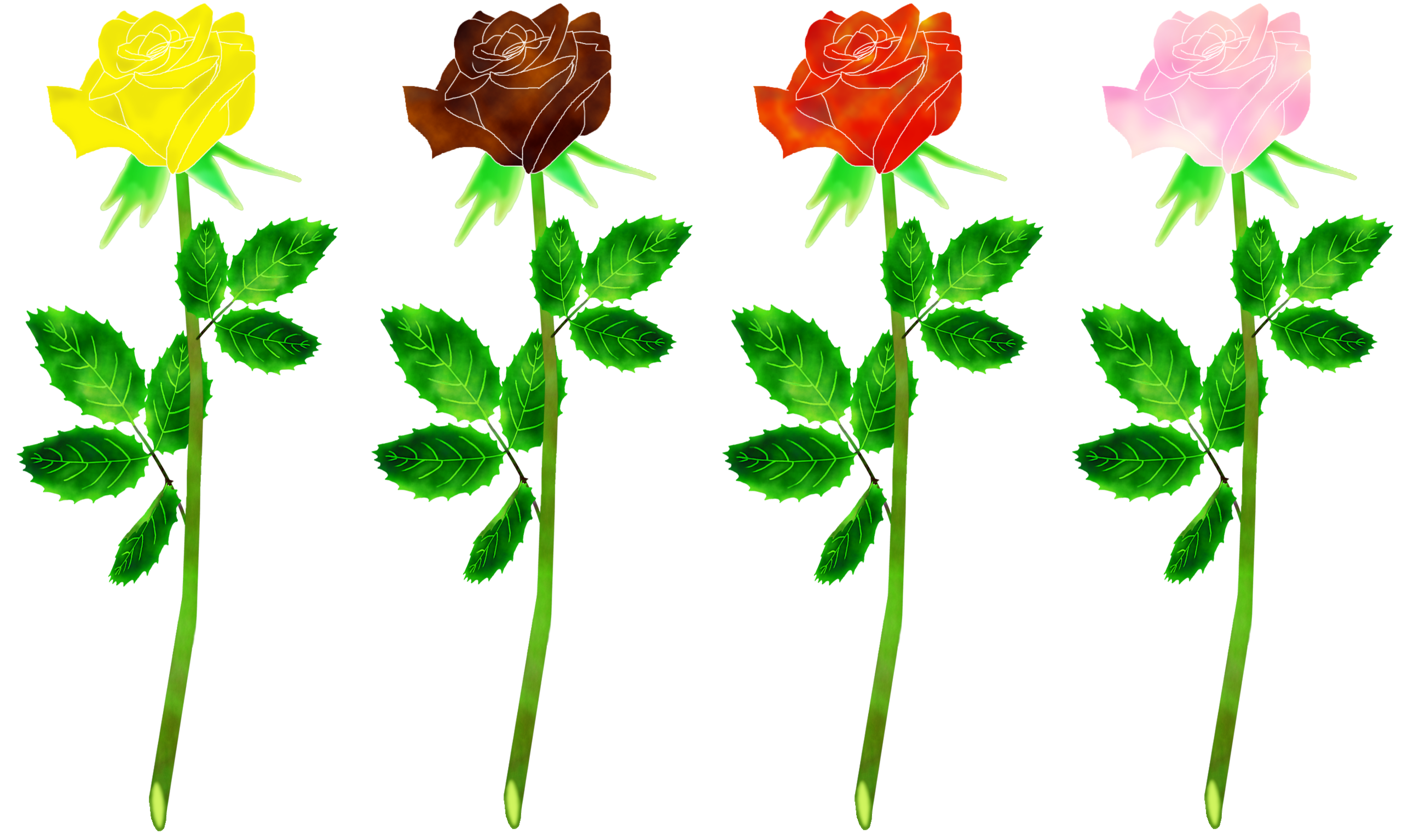 Roses flowers plant gradient free image download