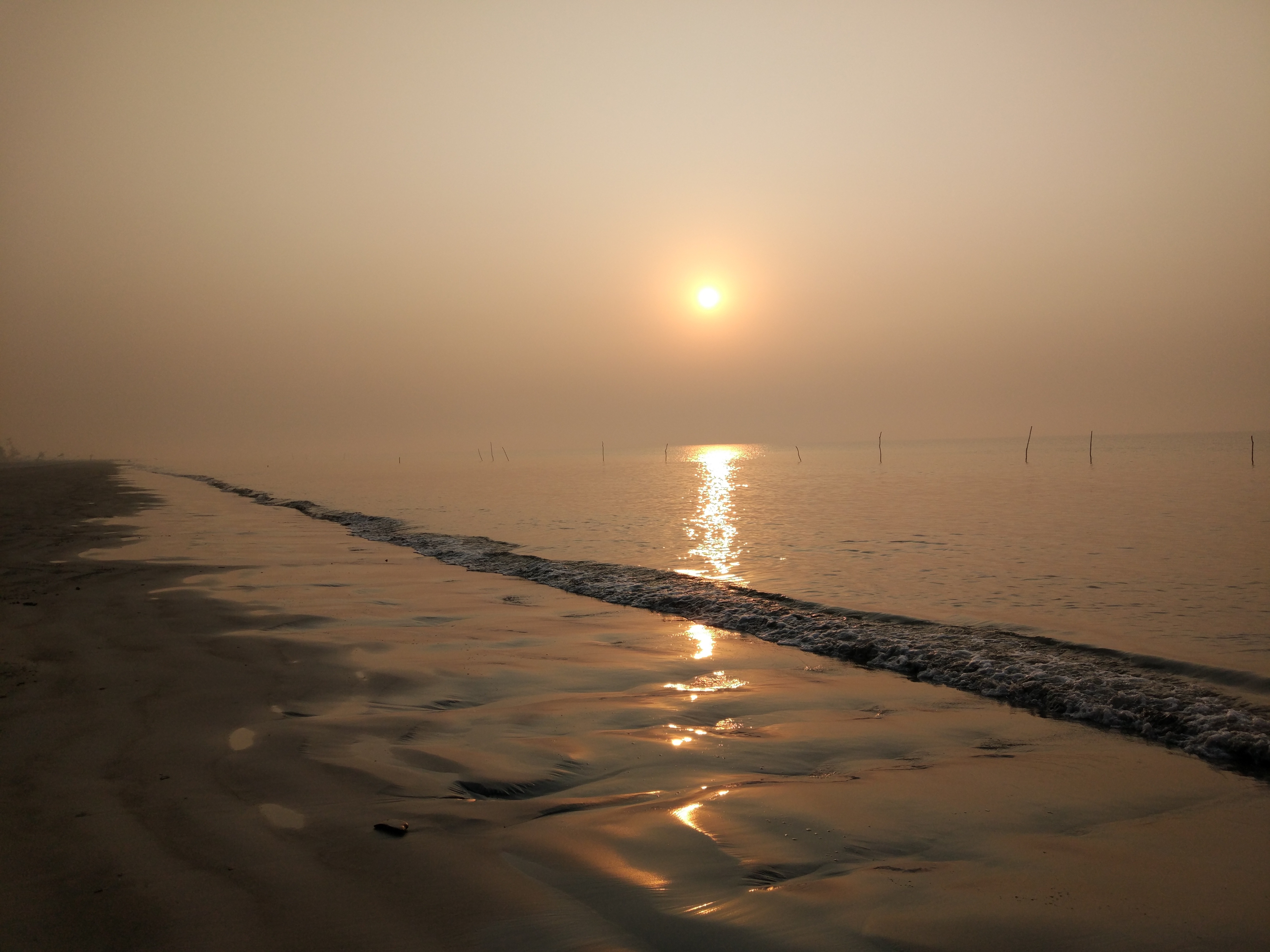 Beach Sunset Sun free image download