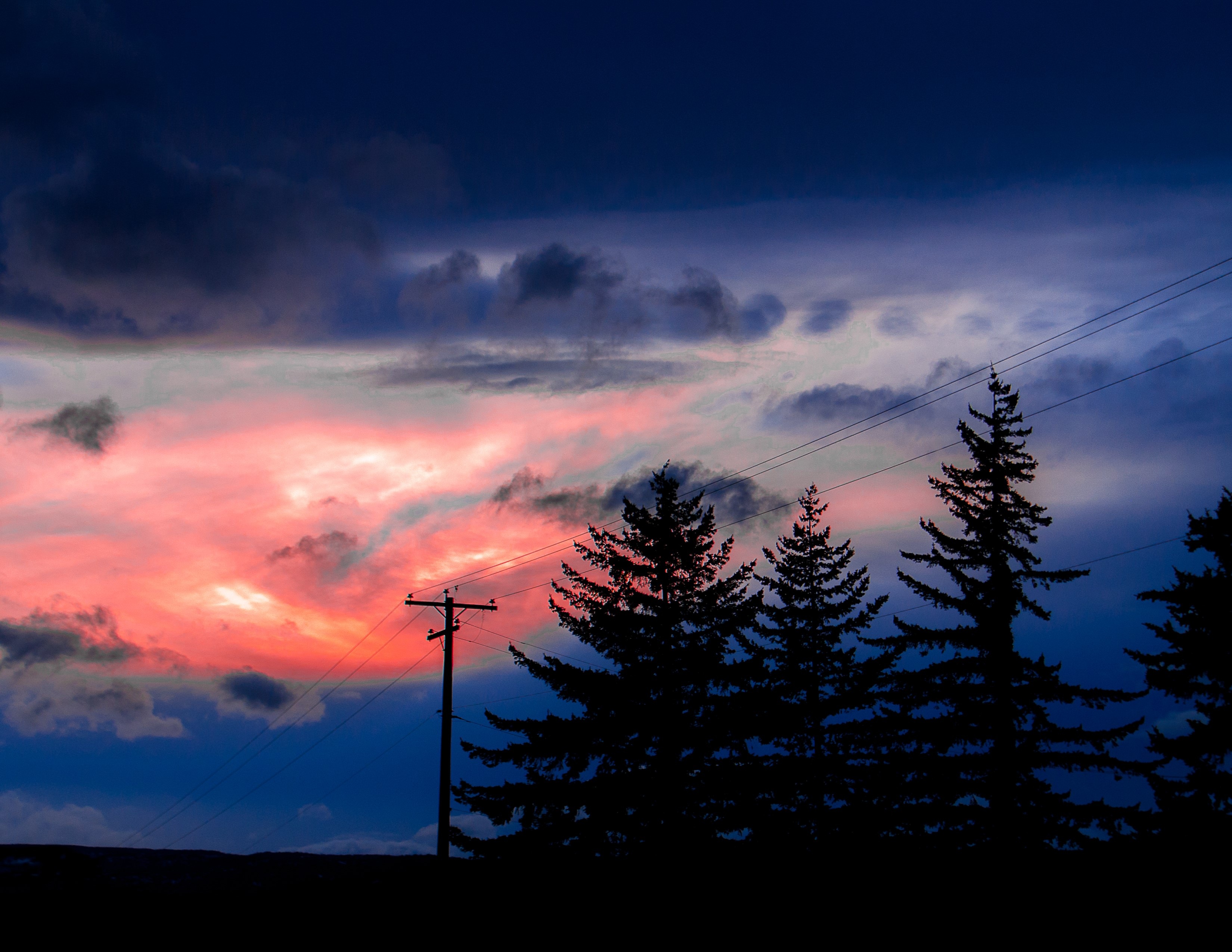 Sunset Trees Landscape free image download
