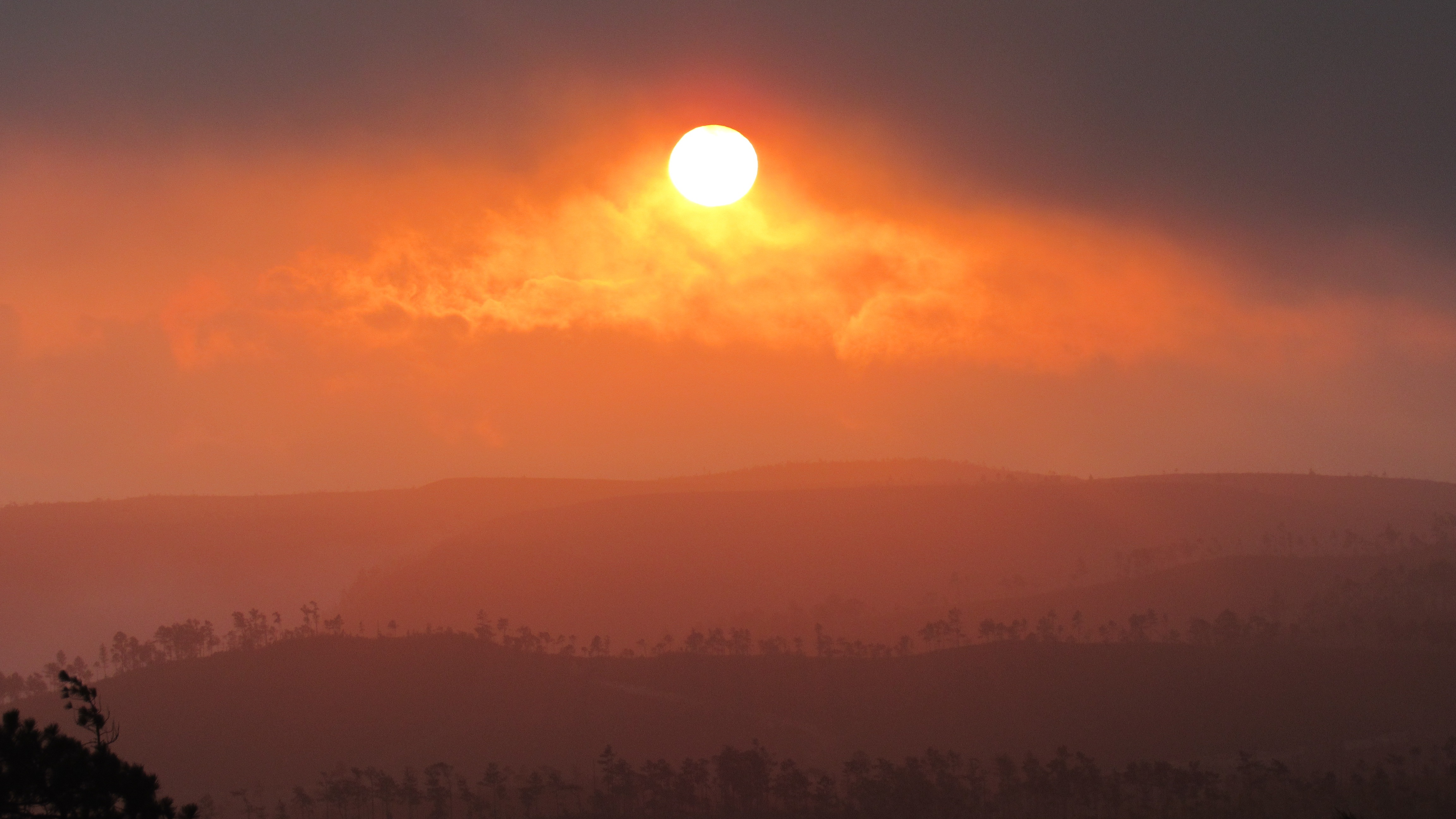 Sun Sunrise Orange free image download