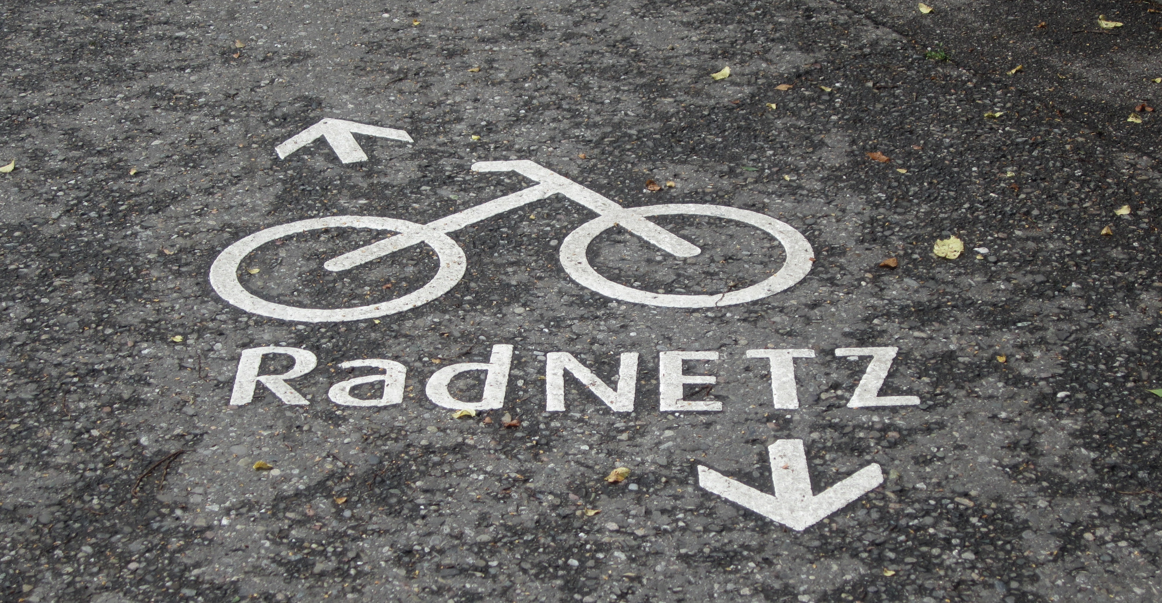 Orb Web Road Tar Cycle free image download