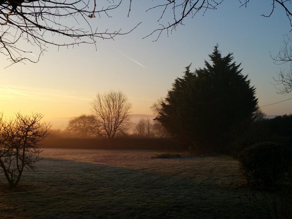 Evening Sunset Fall free image download