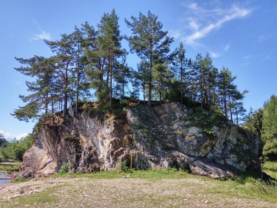 Rock Tree Nature free image download