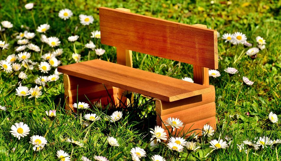 Bench Meadow Grass free image download