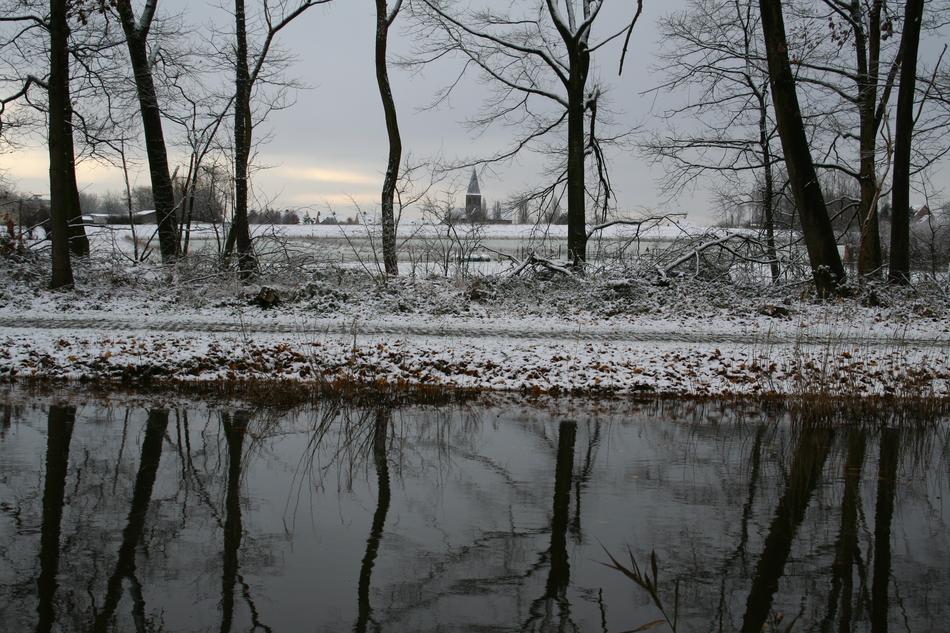 Trees snow water landscape free image download