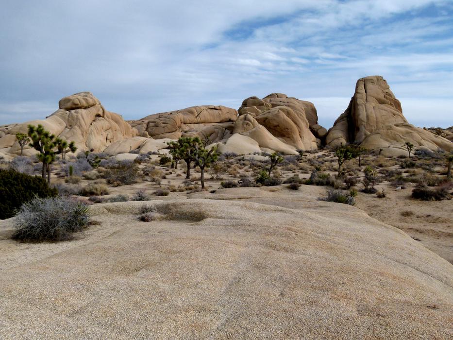 Usa Rock West Joshua Tree free image download