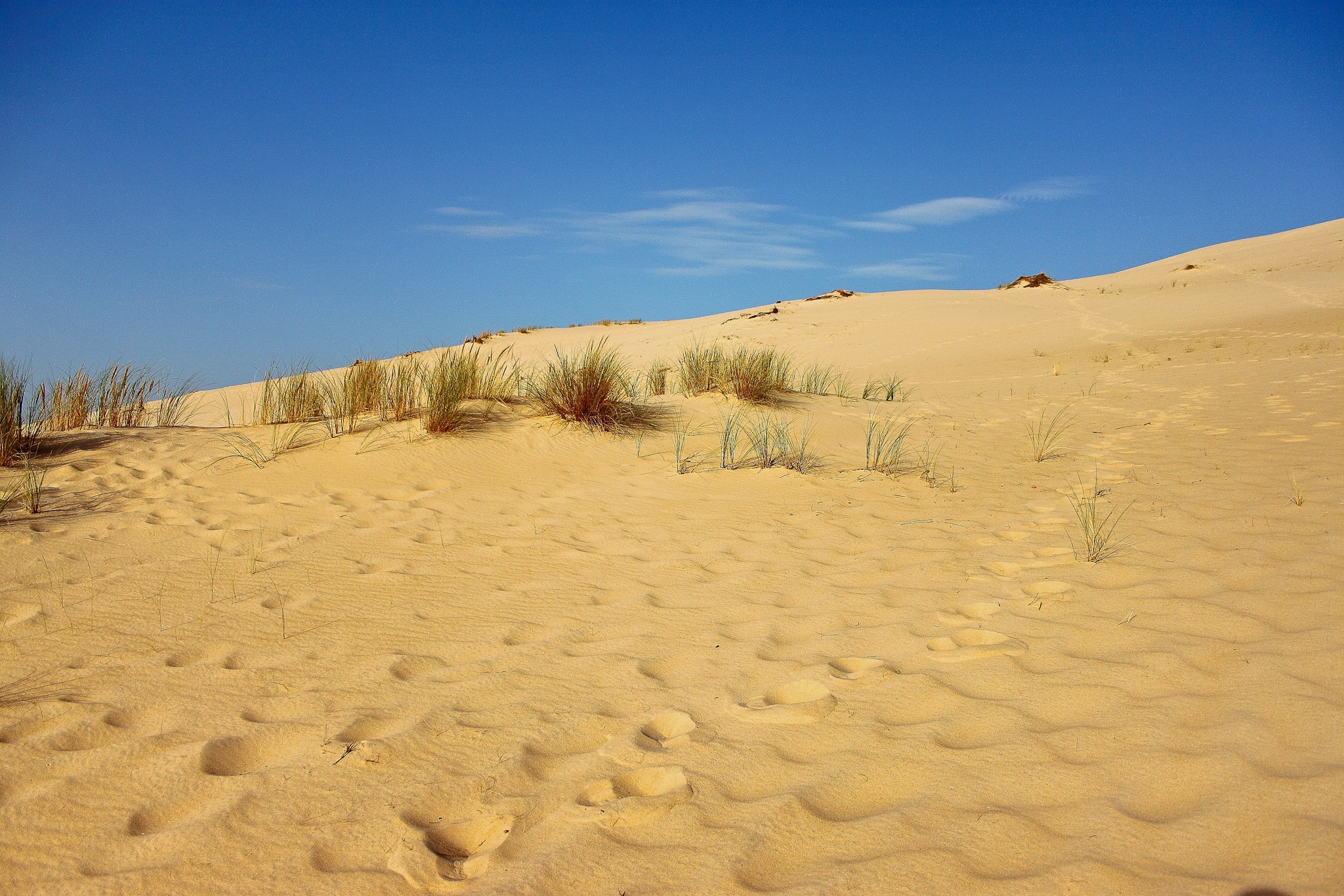 Sand Dune Pyla You free image download