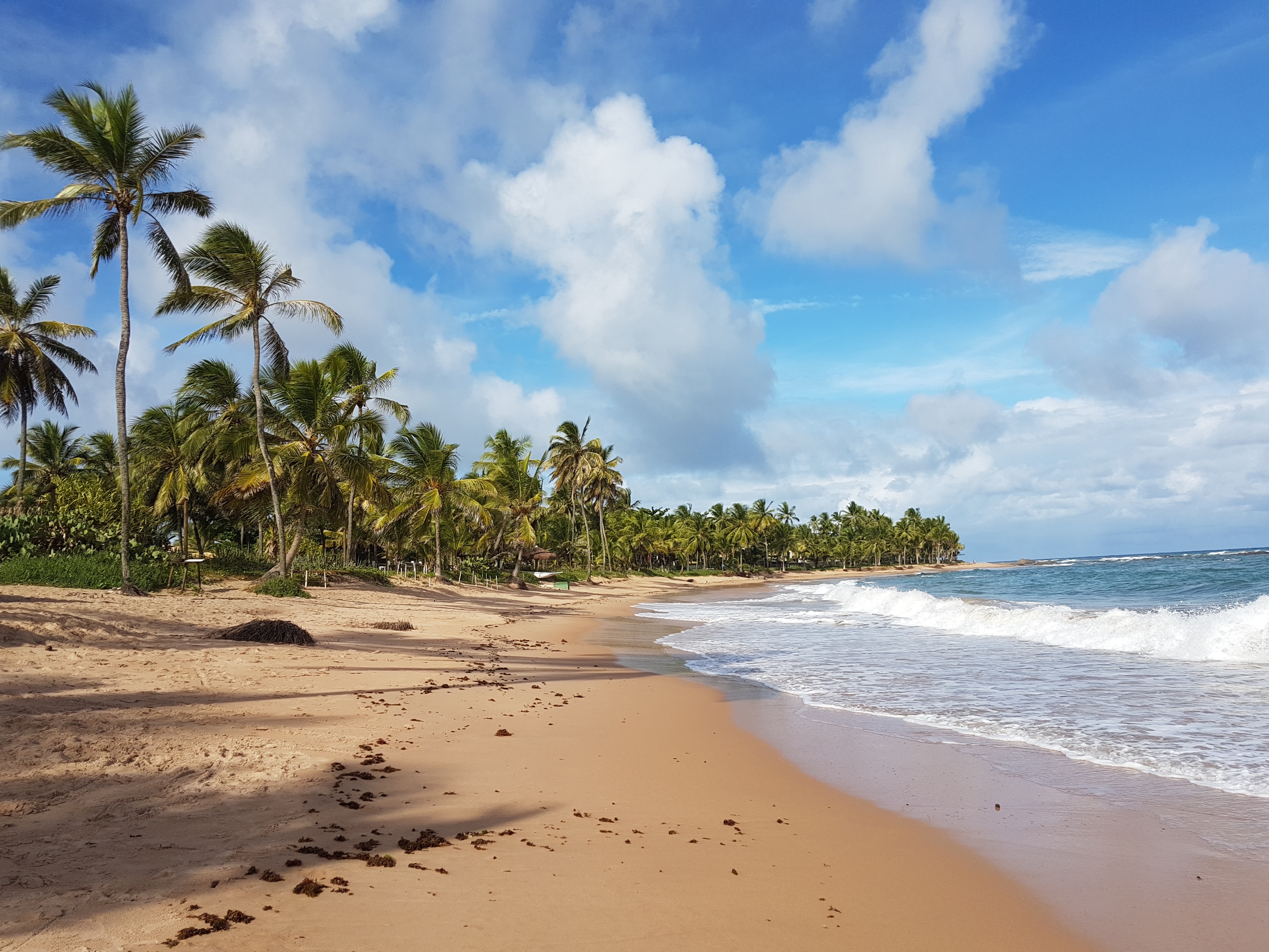 Beach Landscape Nature free image download
