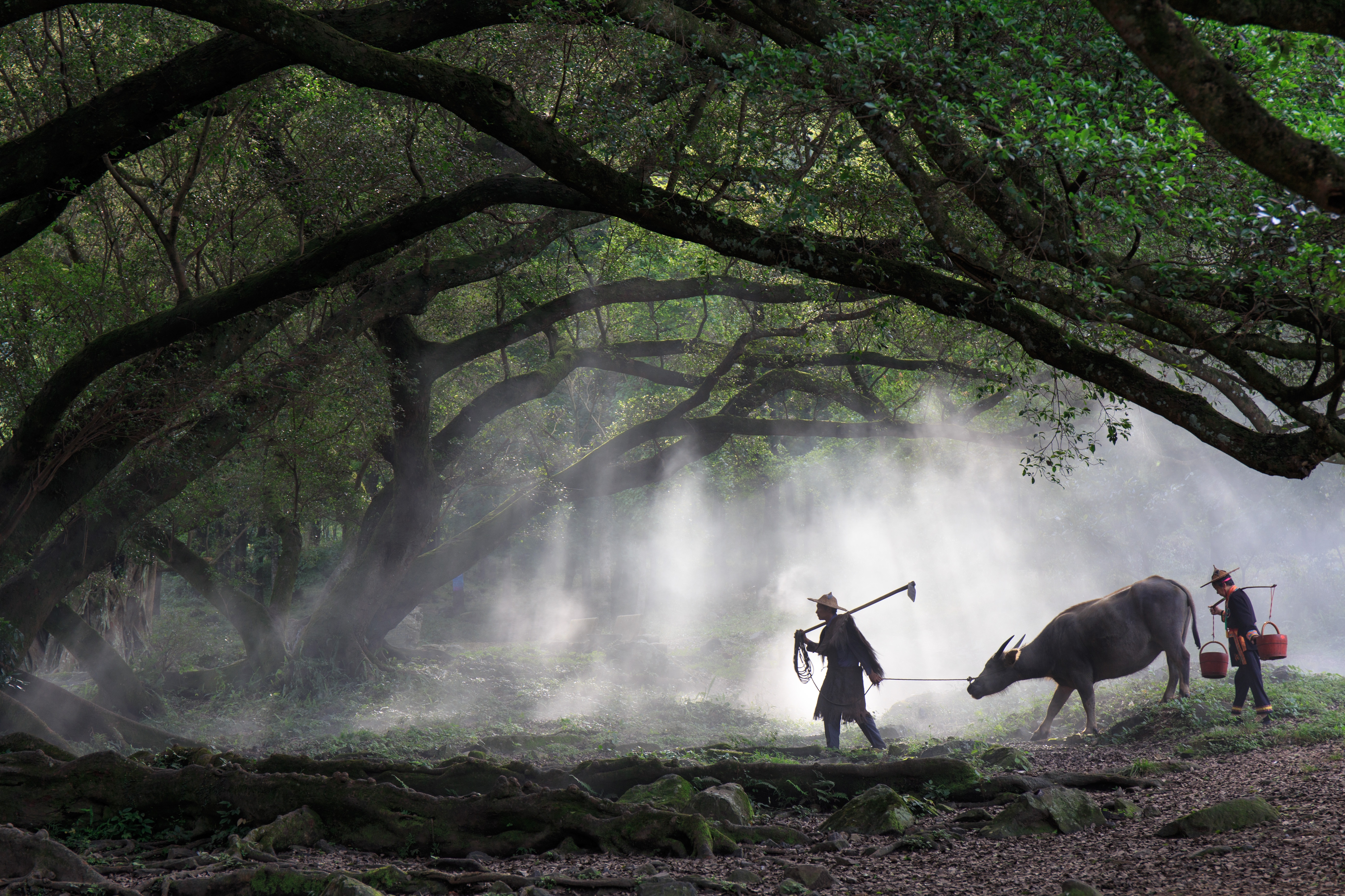 Xiapu Yang Creek free image download