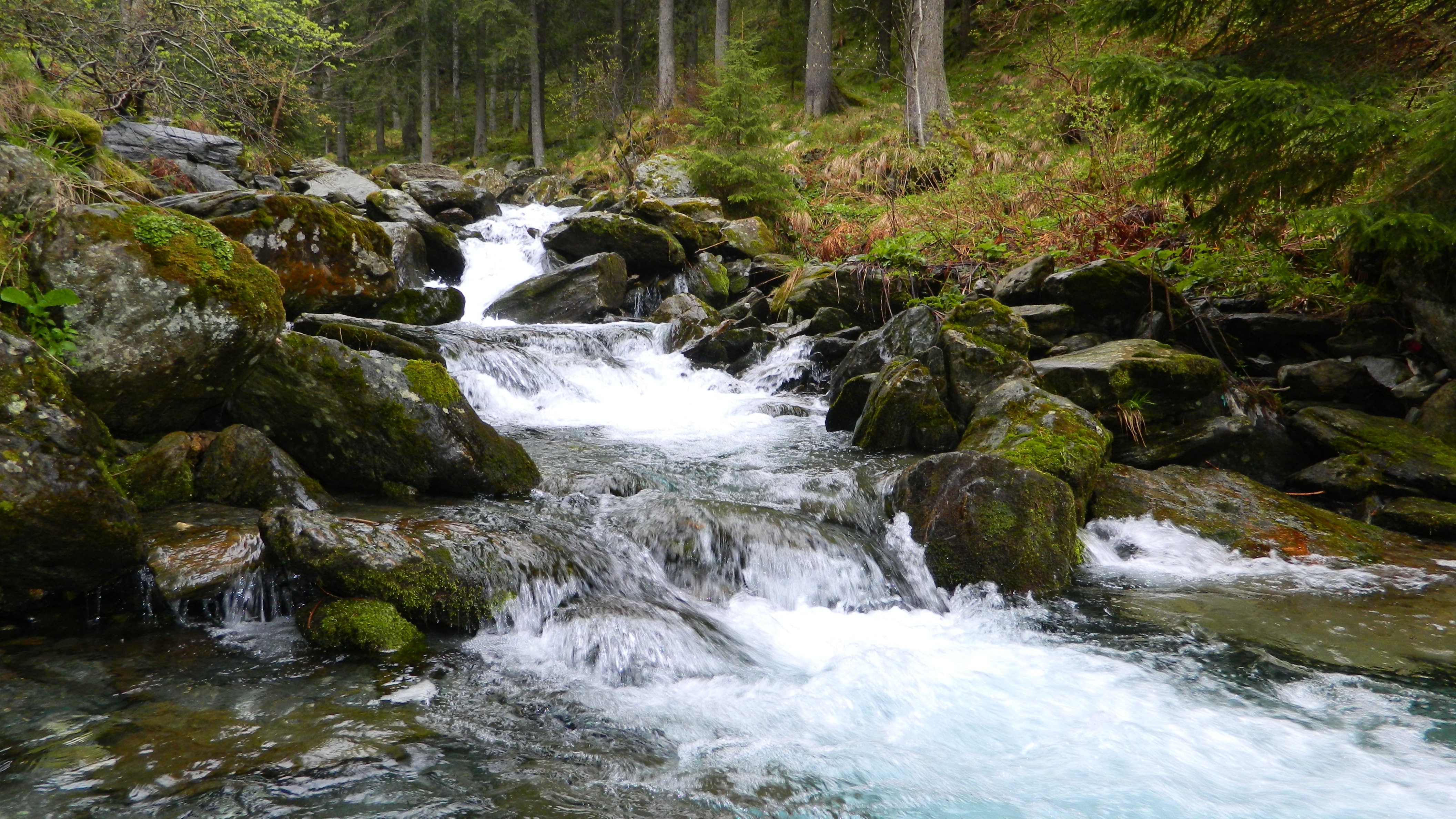 Small River Mountain Nature free image download