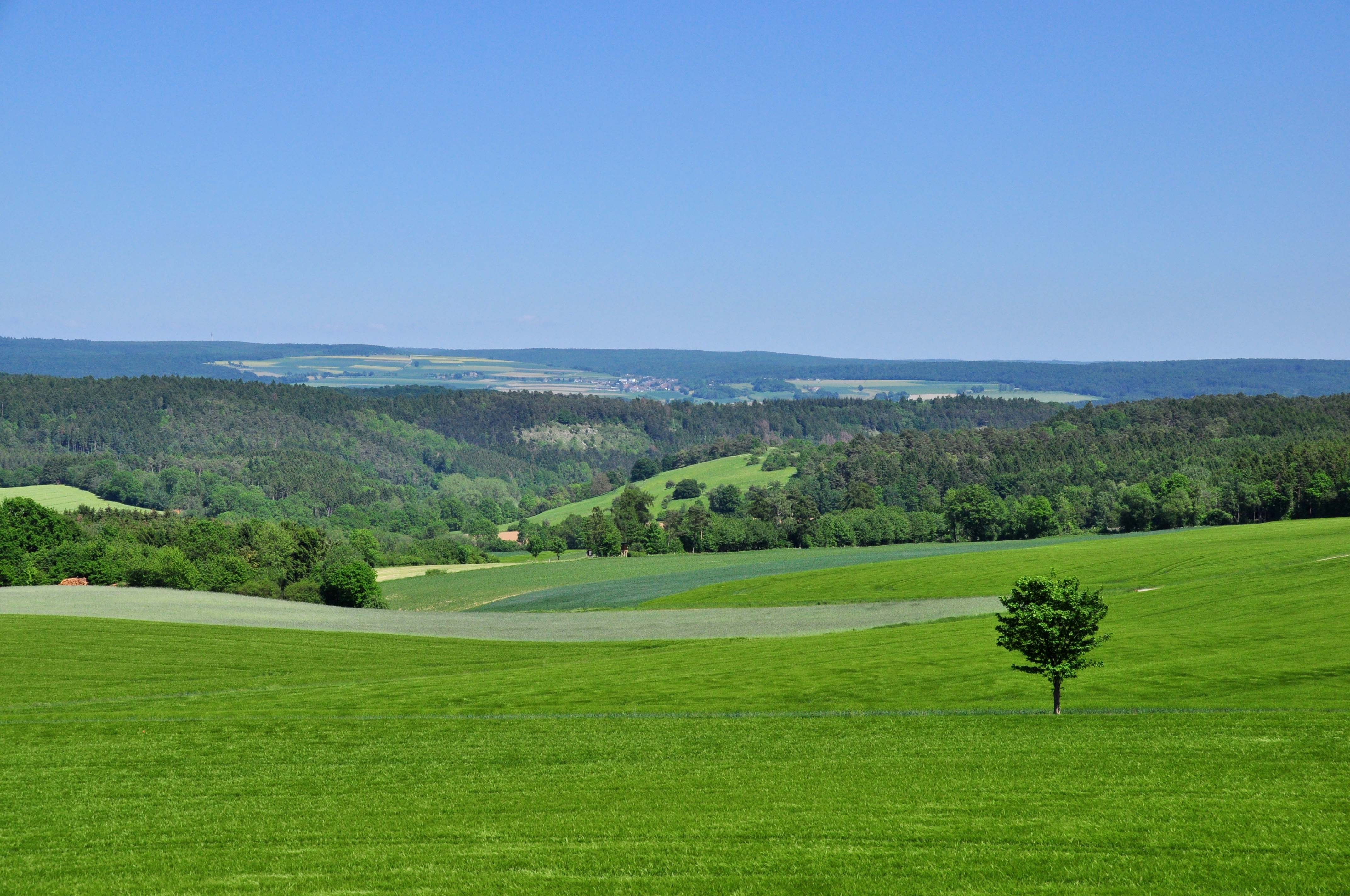 Landscape Hilly Green free image download