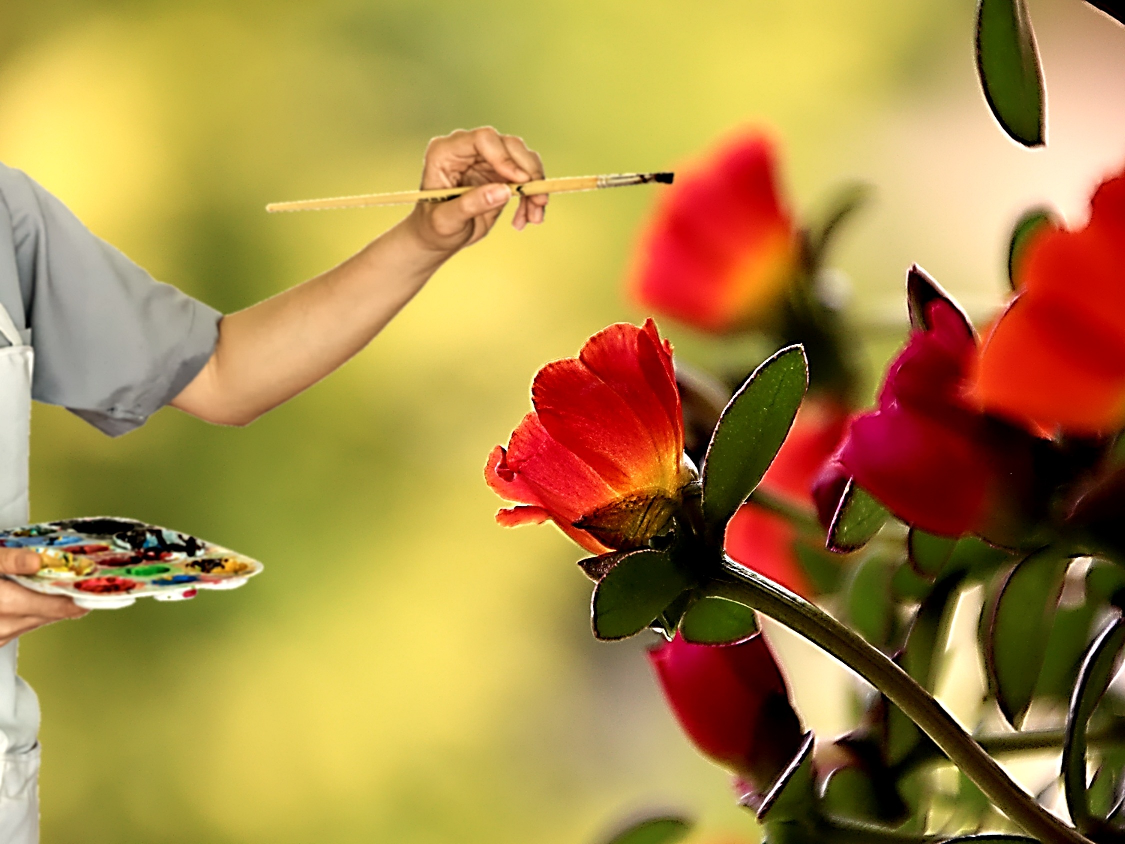 Painter Color Colorful free image download