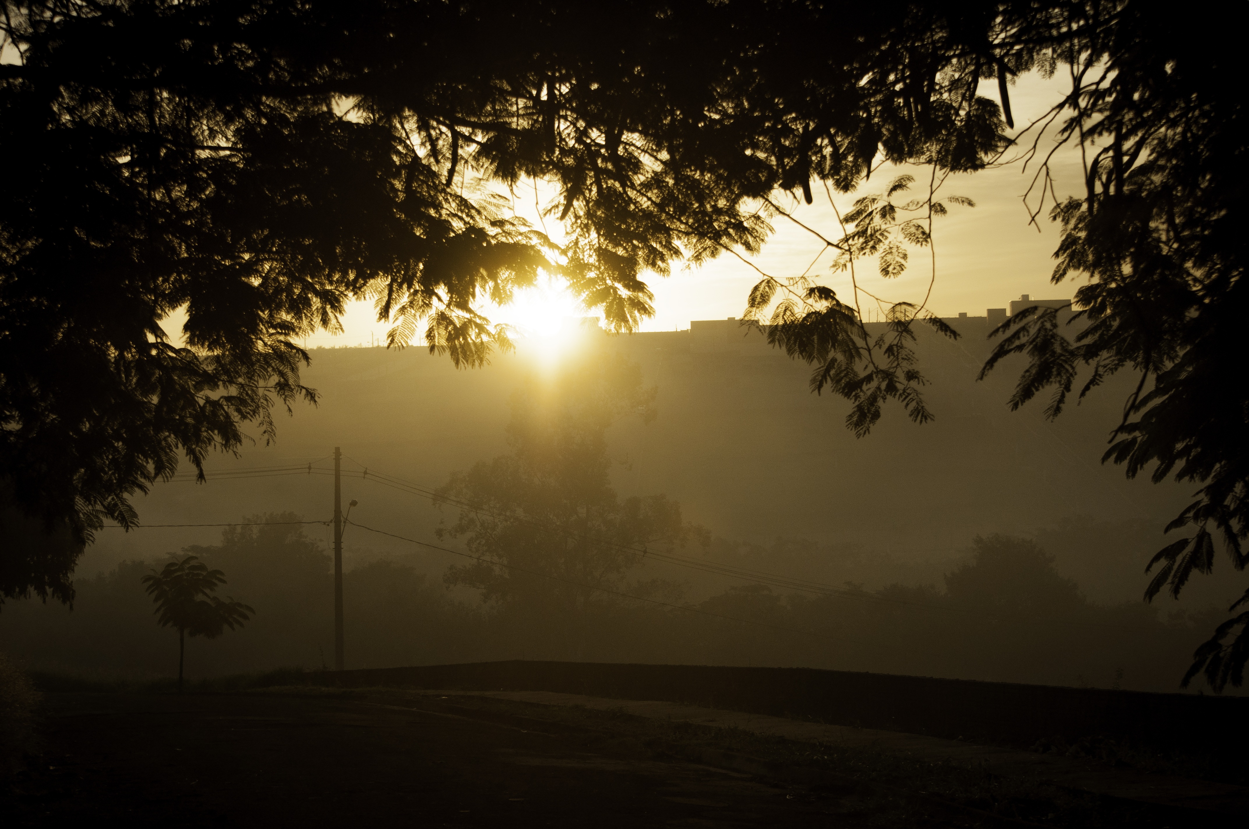 Sunrise Shadow Nature free image download