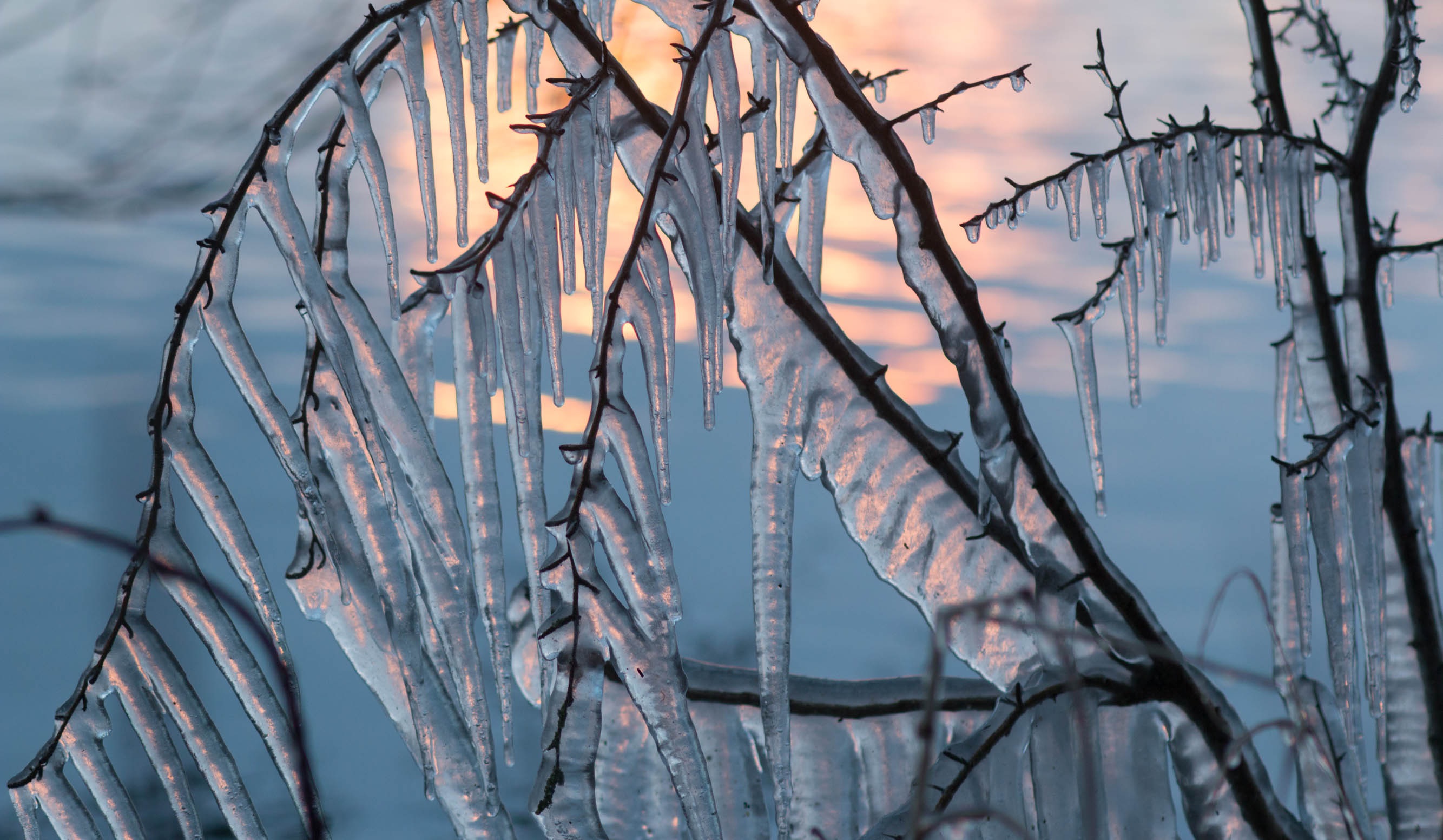 Icicle at sunLight at Winter free image download