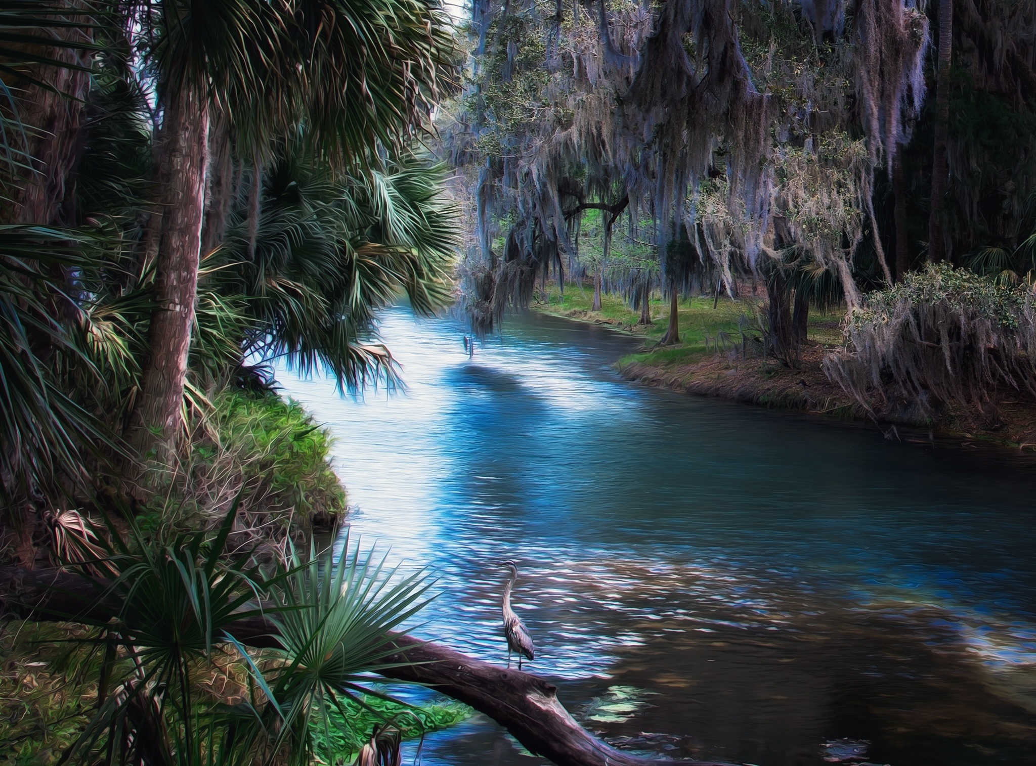 Palms Florida Spring free image download