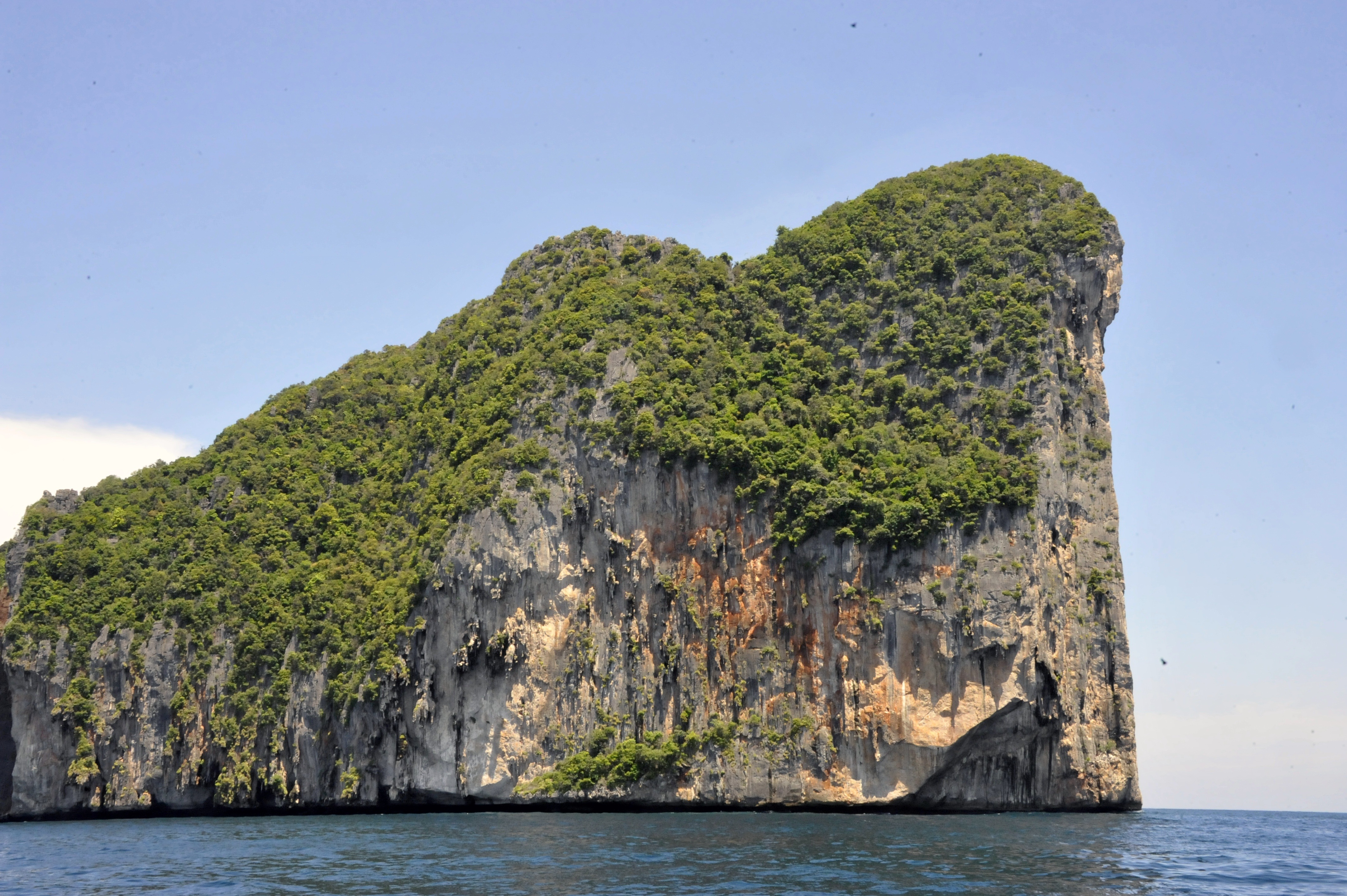 Cliff Sea Rock free image download