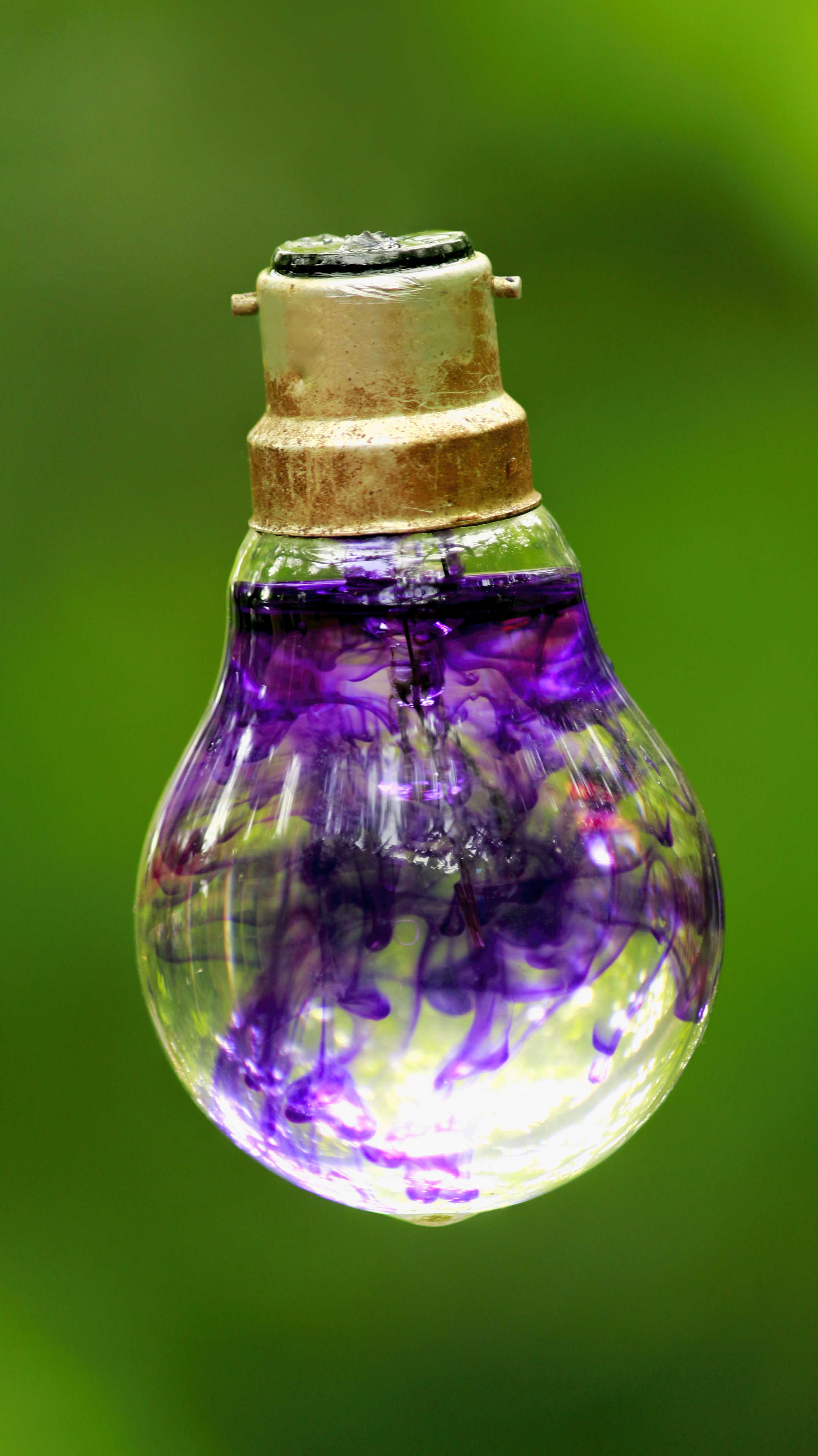 Bulb With Water Design free image download
