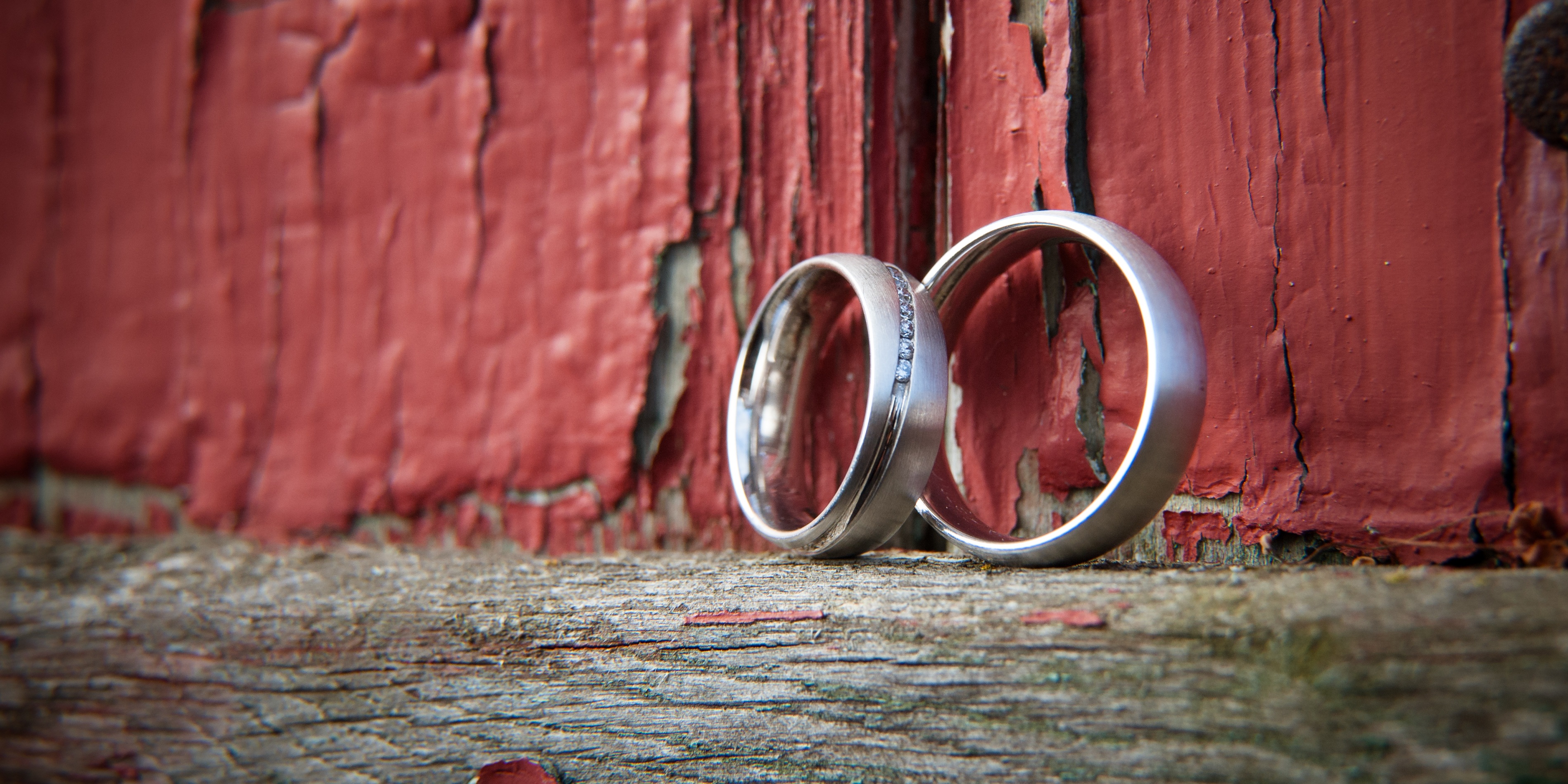 Rings on the red fence free image download