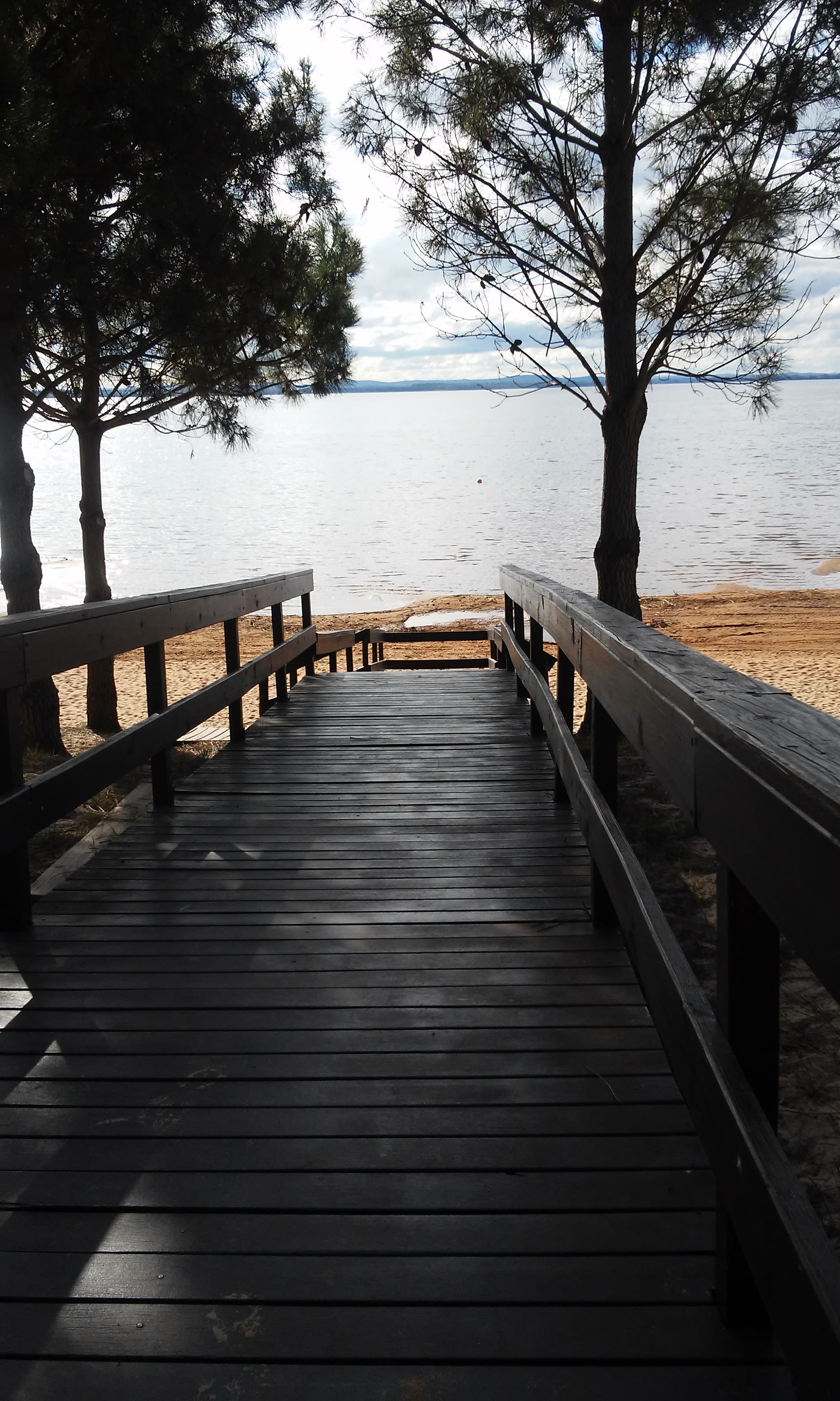 Water bridge with trees free image download
