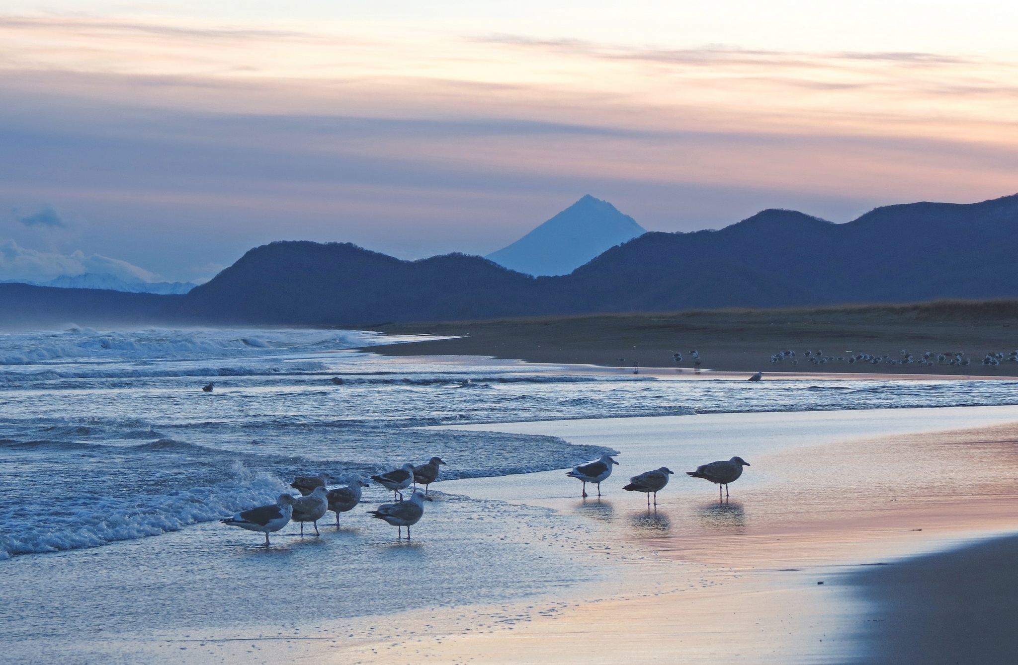 The Pacific Ocean Coast Beach free image download